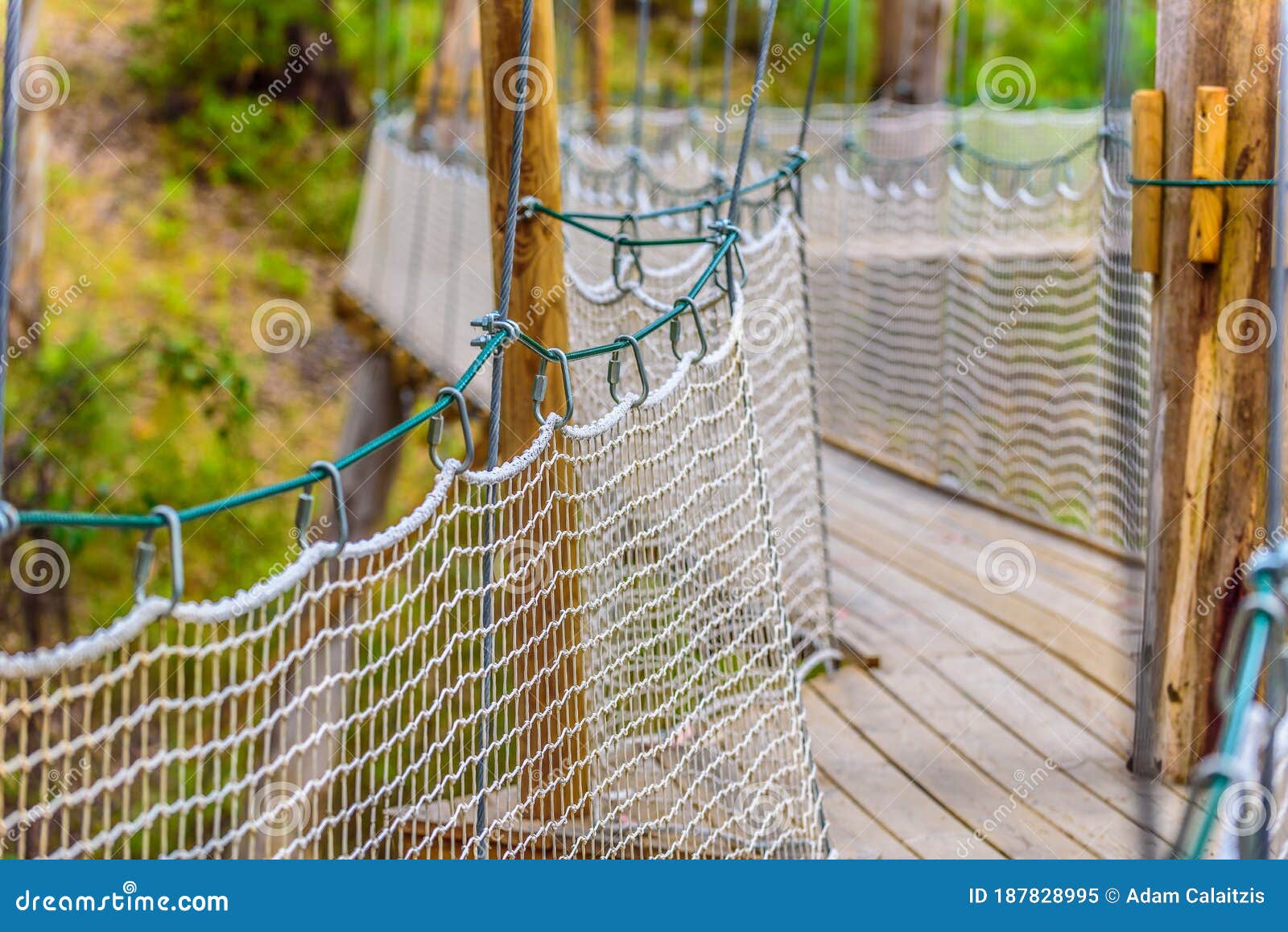 Elevated Tree Top Walk stock image. Image of park, public - 187828995