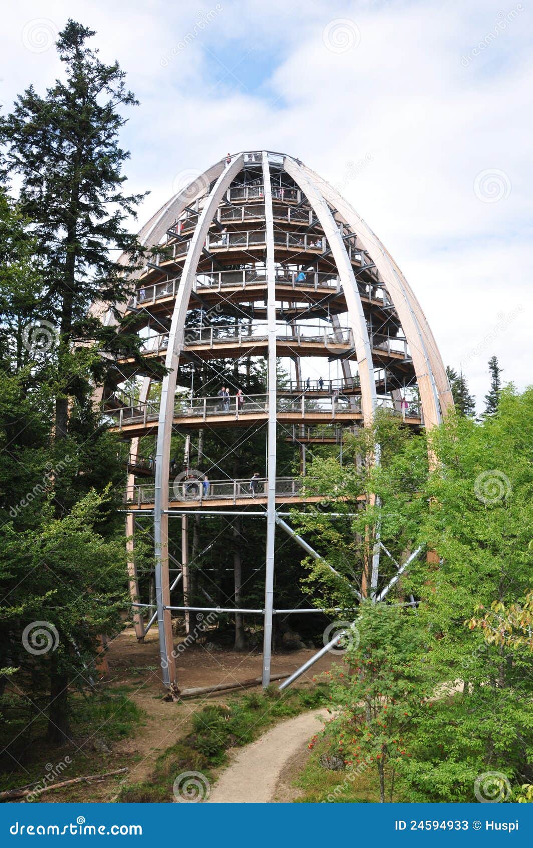 Tree top walk observatory stock image. Image of nice - 24594933