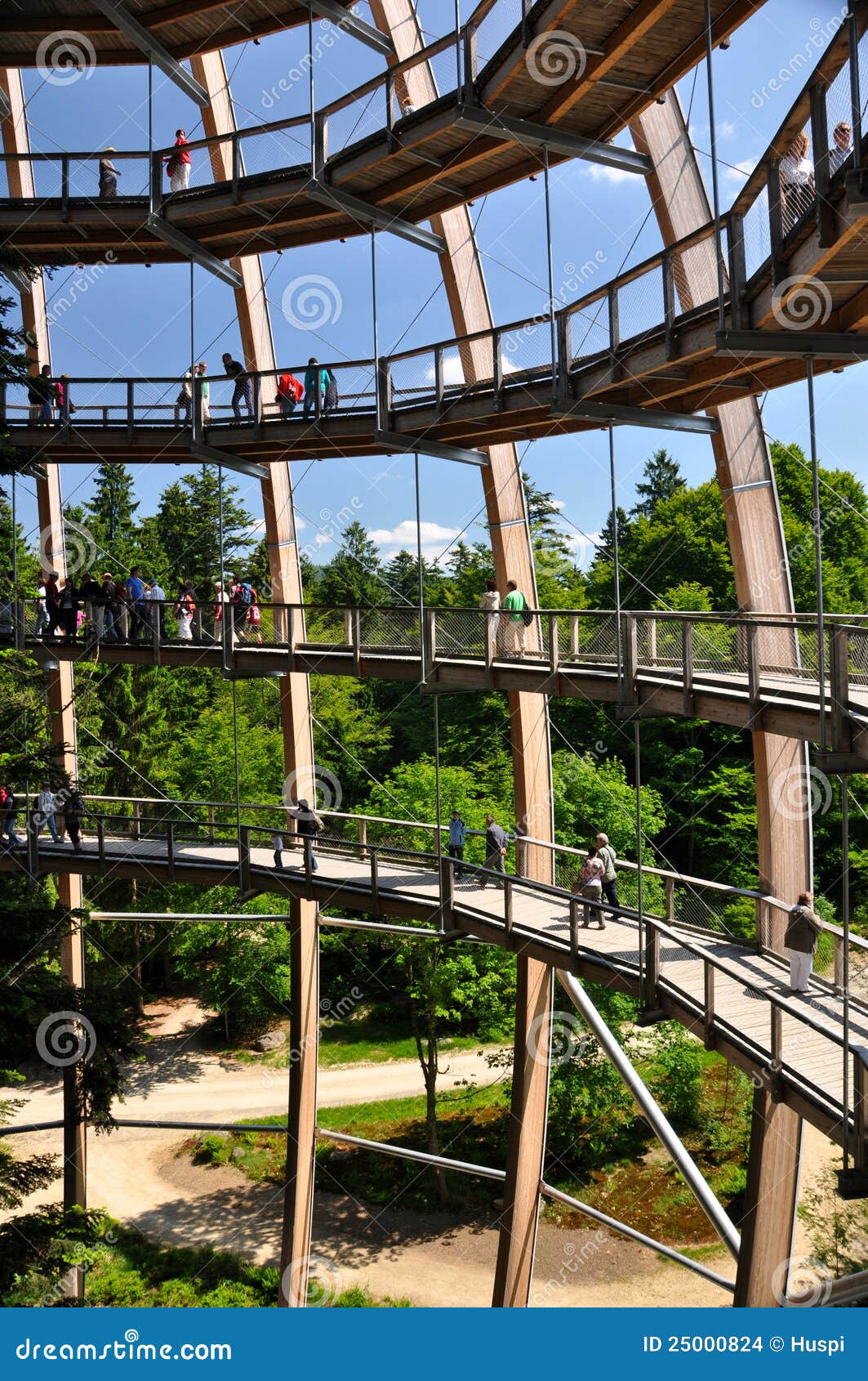 Tree top walk observatory editorial stock image. Image of track - 25000824