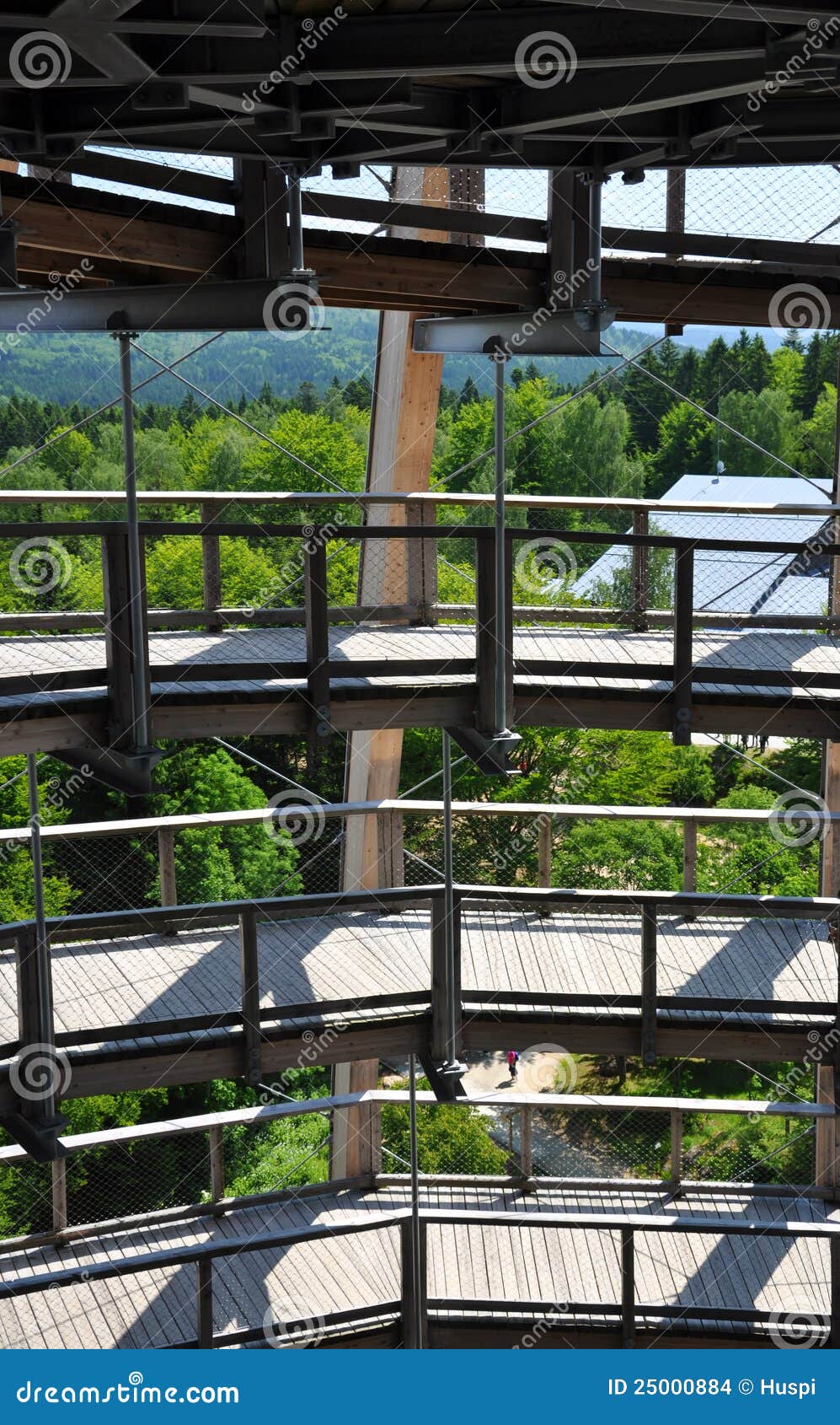 Tree top walk observatory stock photo. Image of track - 25000884