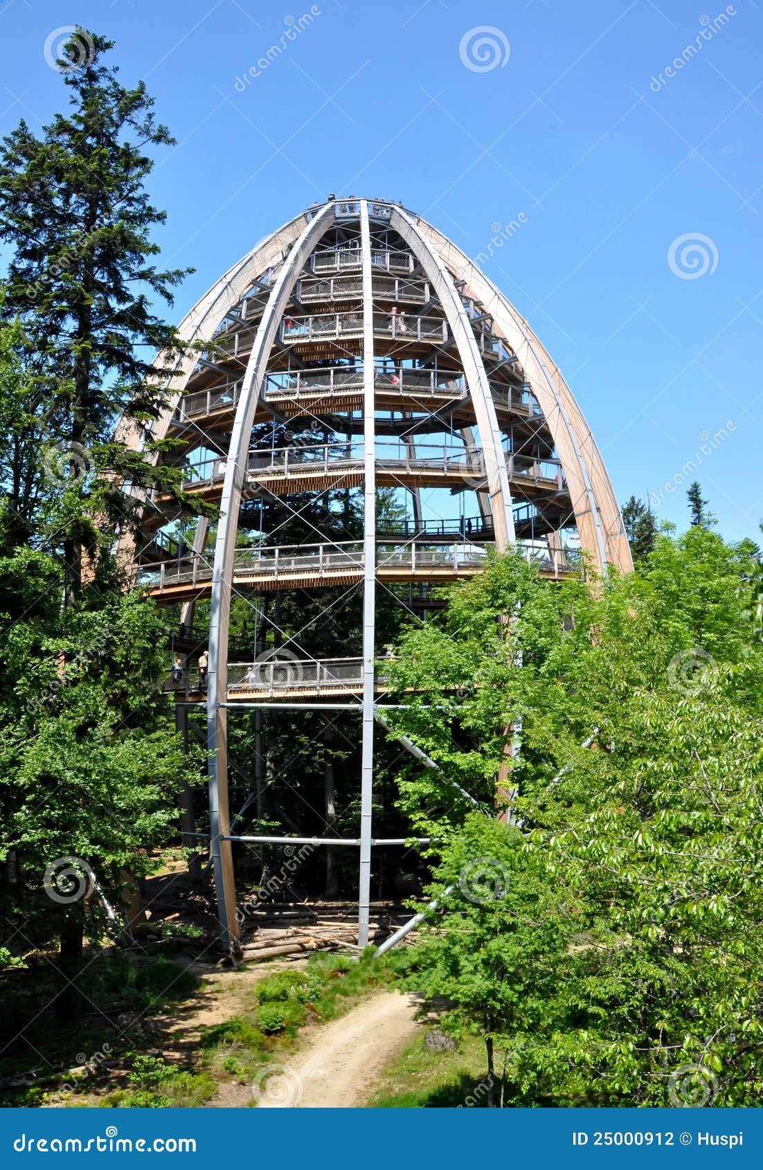 Tree top walk observatory stock photo. Image of romantic - 25000912