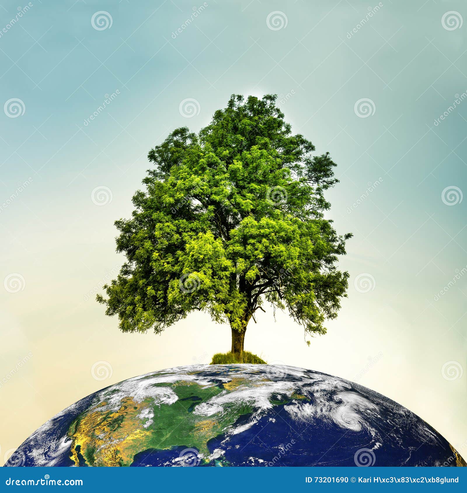 Tree on top of the world stock photo. Image of save, nature - 73201690