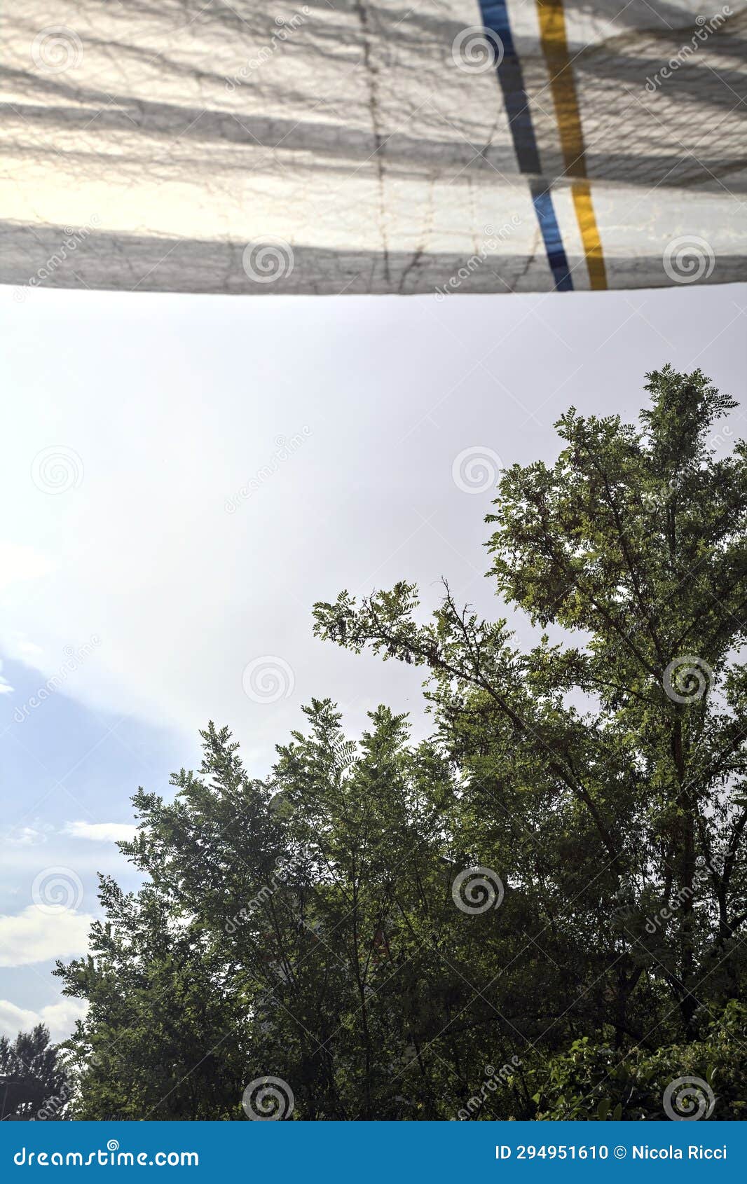 Tree Tops on a Cloudy Sky Framed by an Awning Stock Photo - Image of ...