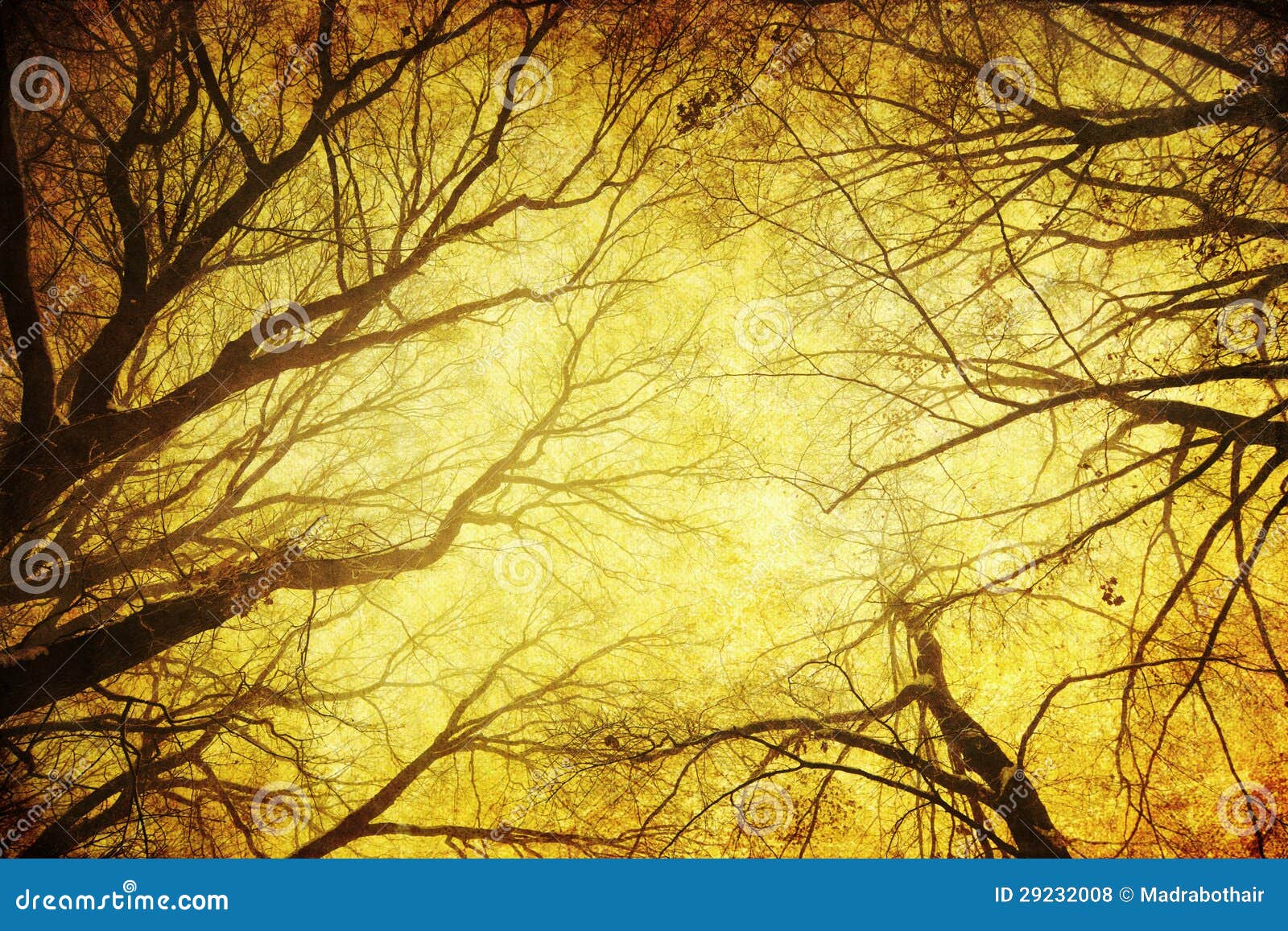 Tree Tops with Grunge Texture Stock Photo - Image of forest, nature ...