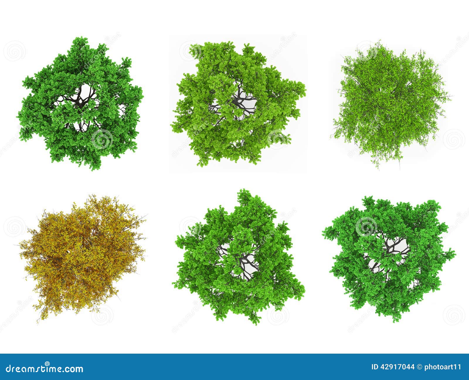 Tree tops isolated stock photo. Image of background, view - 42917044