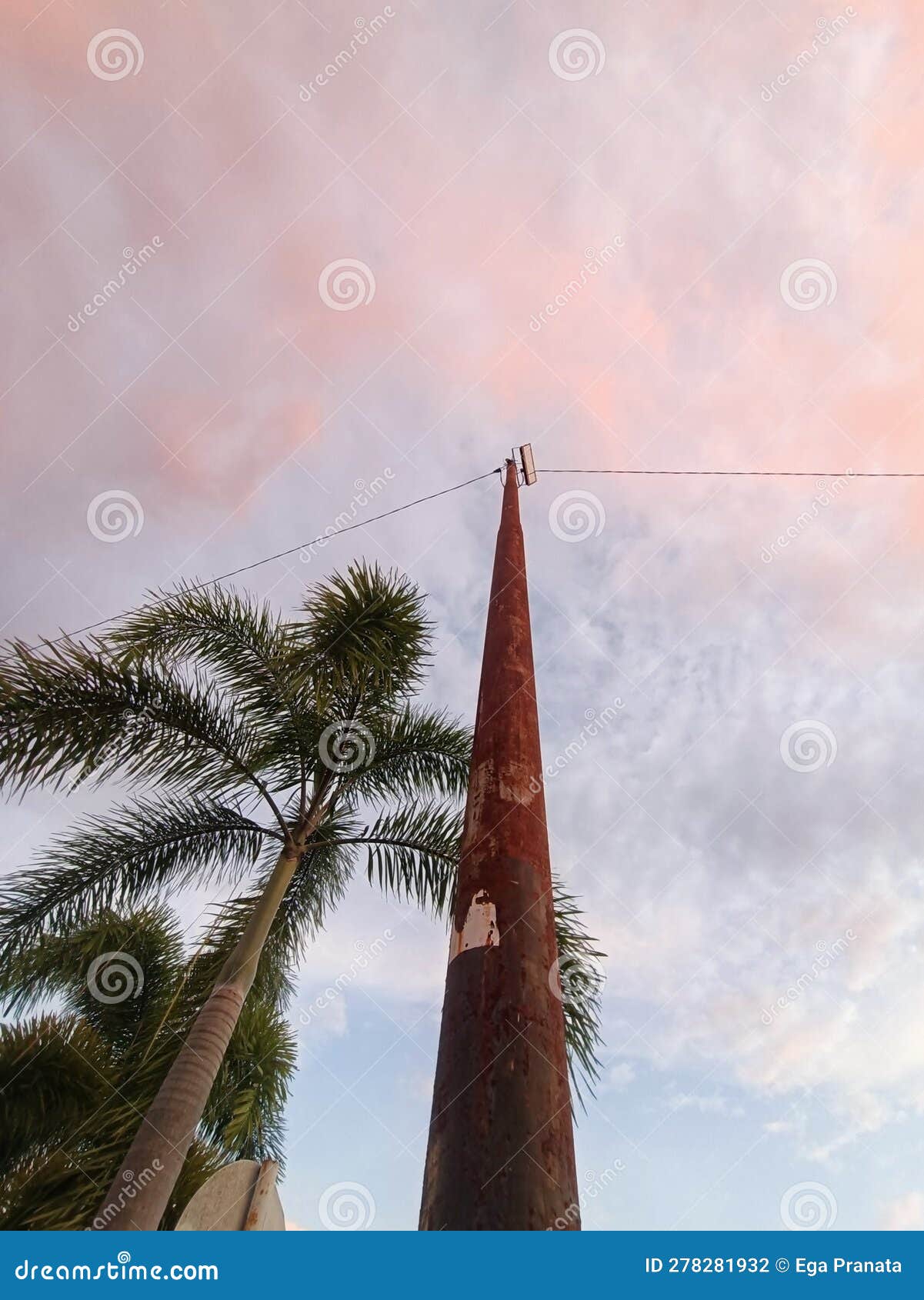 A Tree and a Towering Electric Pole Stock Photo - Image of beautiful ...