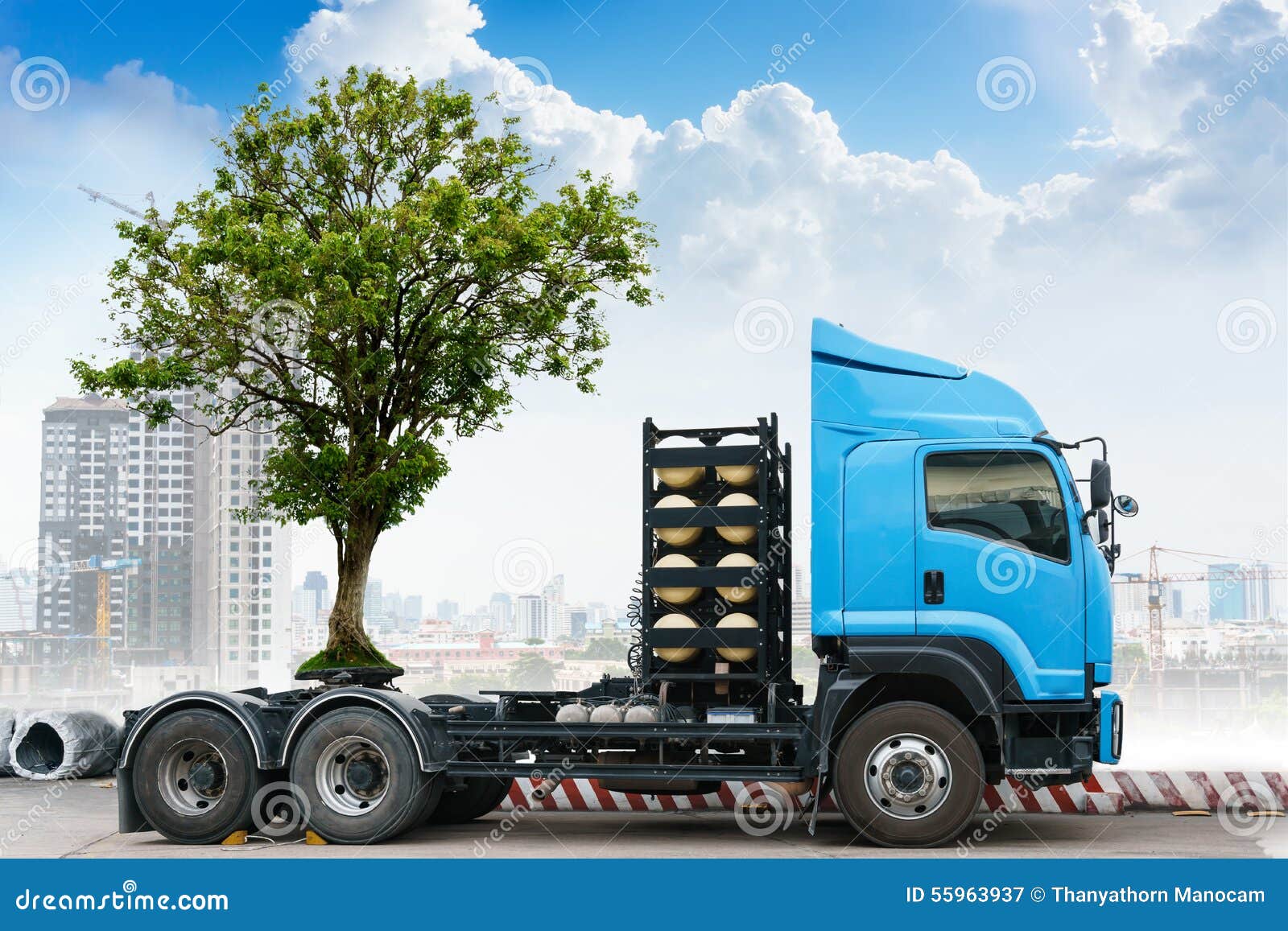 Tree Transportation for Gardening Stock Image - Image of freshness ...