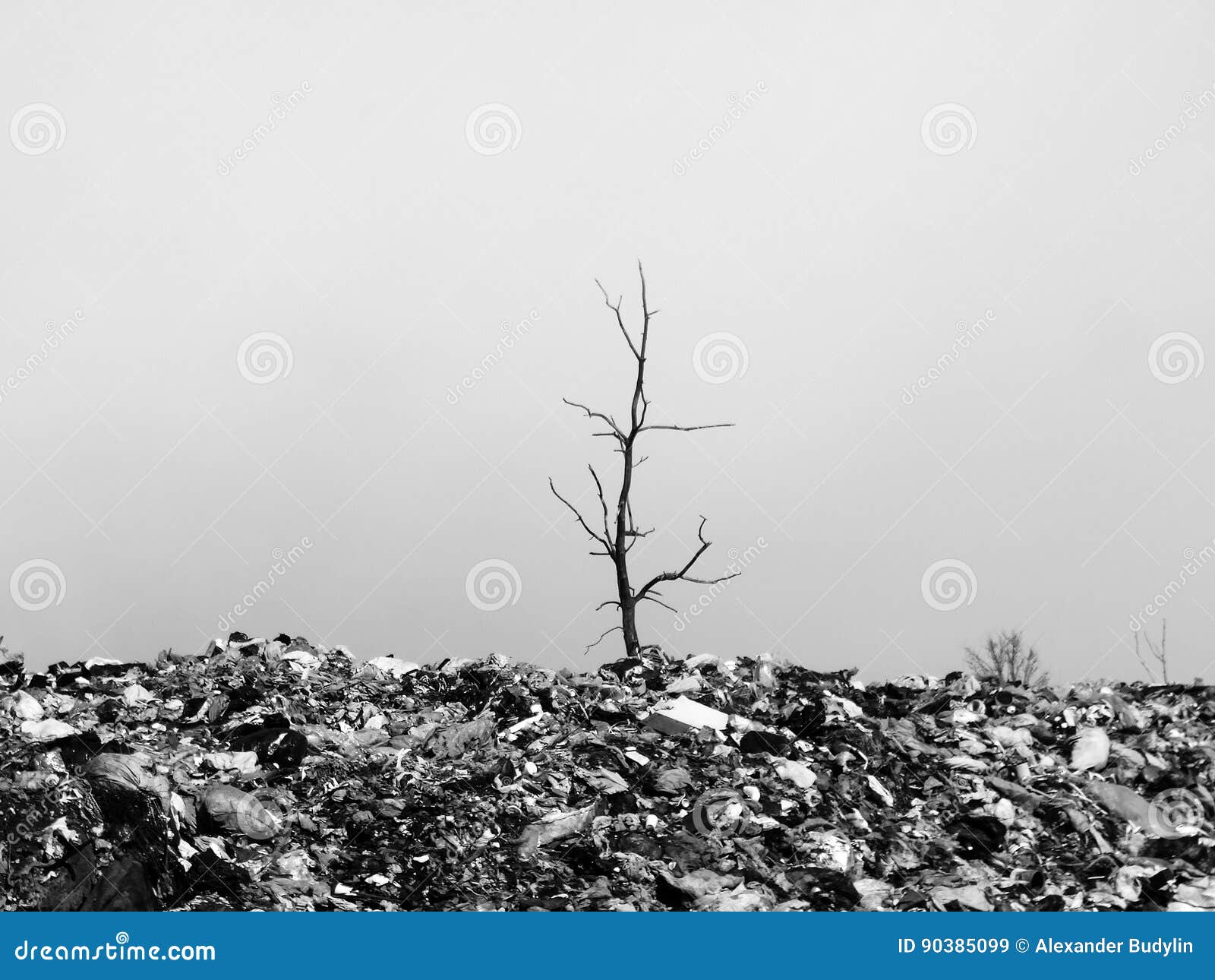 Tree Trash In Landfill Dump Stock Image | CartoonDealer.com #140241787
