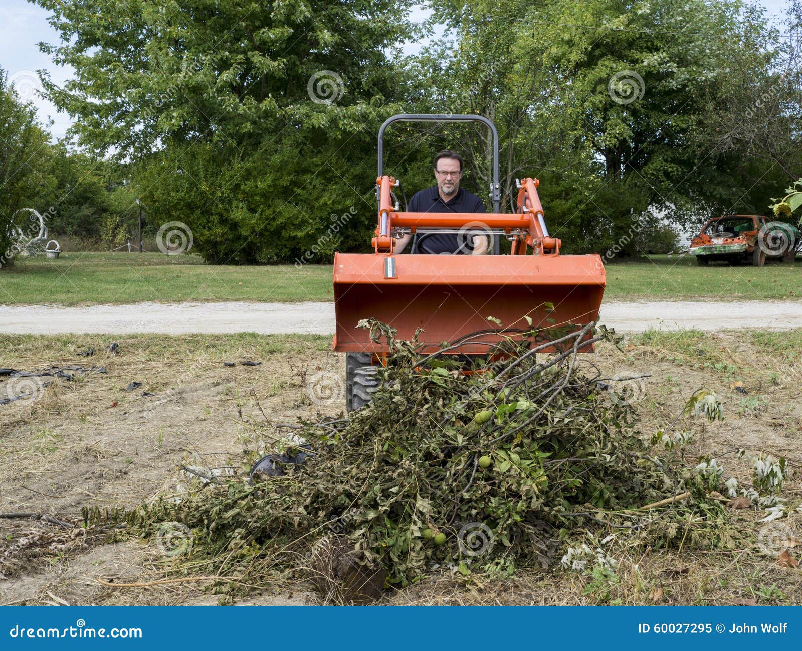 Tree Trimmer Dumping Limbs into Pile Stock Image - Image of front, male ...