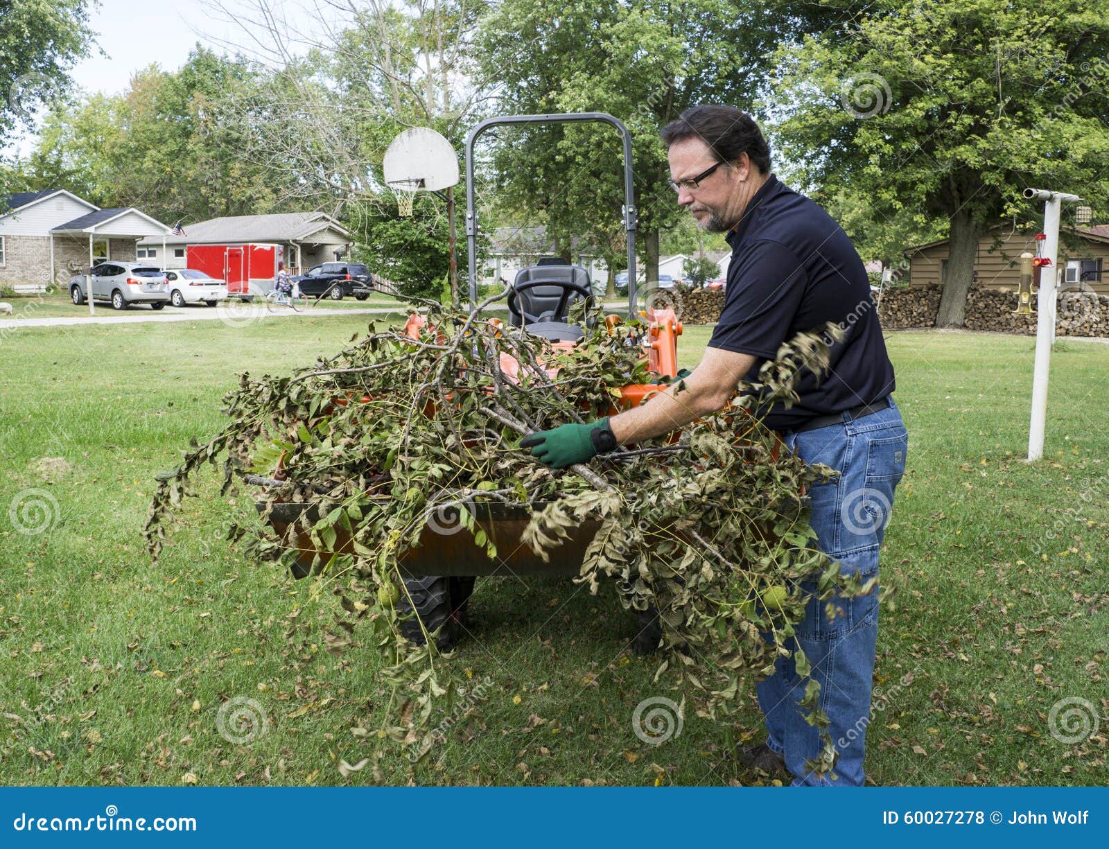Tree Trimmer Loading Limbs stock photo. Image of steer - 60027278