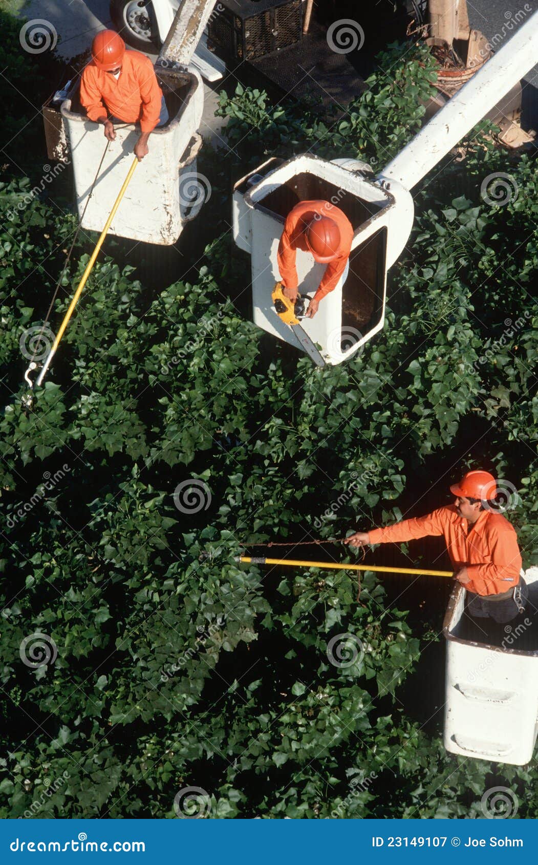 Tree Trimmers in Cherry Pickers Editorial Photography - Image of works ...
