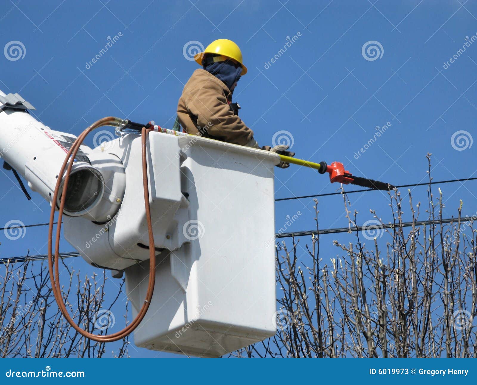 Tree Trimming stock image. Image of cutting, trimming - 6019973