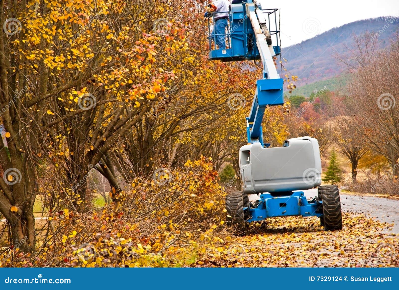 Tree Trimming stock photo. Image of colour, cutting, machinery - 7329124