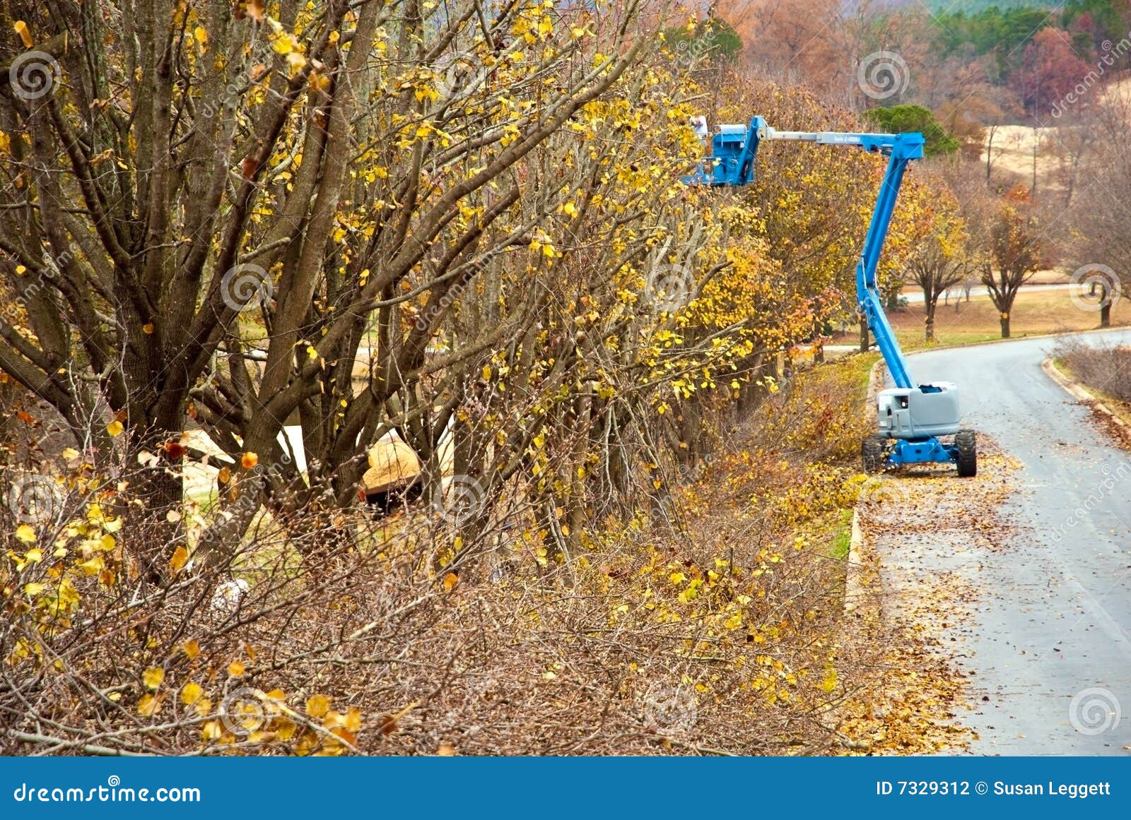 Tree Trimming stock photo. Image of mountains, machinery - 7329312