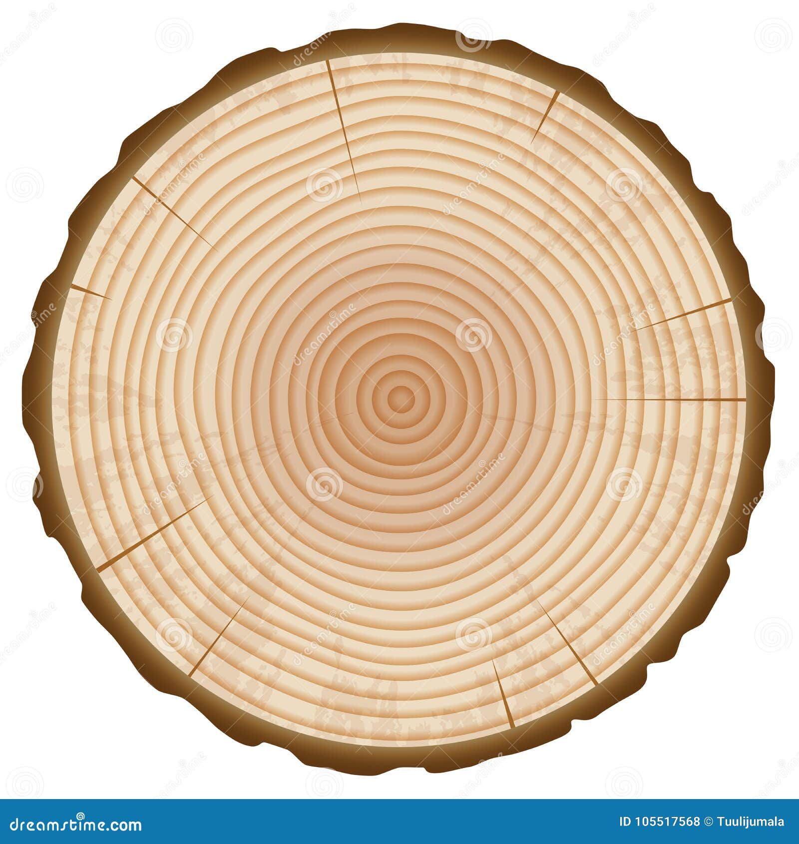 Tree Trunk Annual Rings Section Stock Vector - Illustration of shape ...