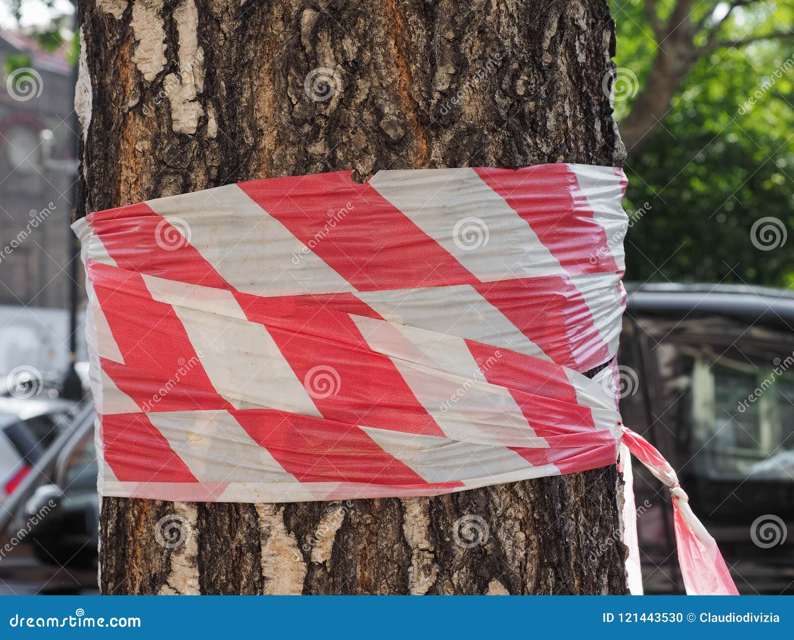 Tree Trunk with Barricade Tape Stock Photo - Image of tree, barrier ...
