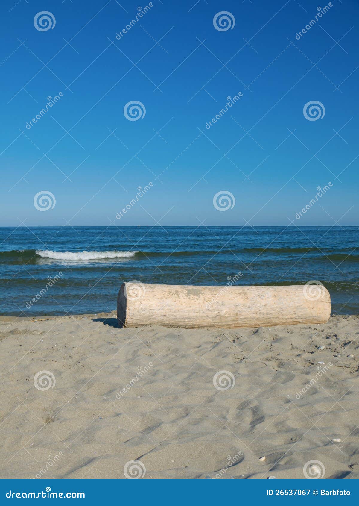 Tree trunk at the beach stock image. Image of beach, trunk - 26537067