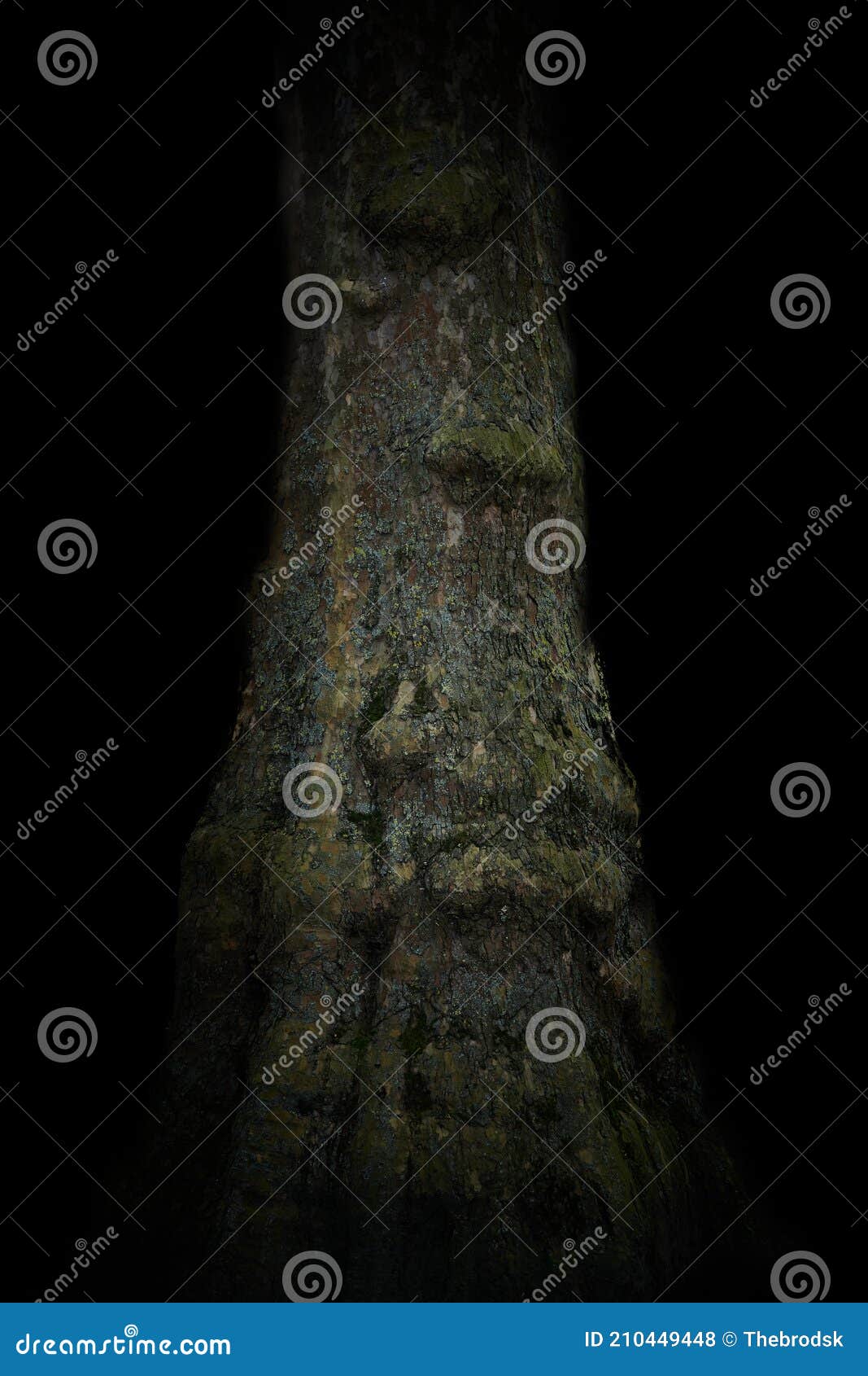 Tree Trunk on a Black Background Stock Photo - Image of white, effect ...