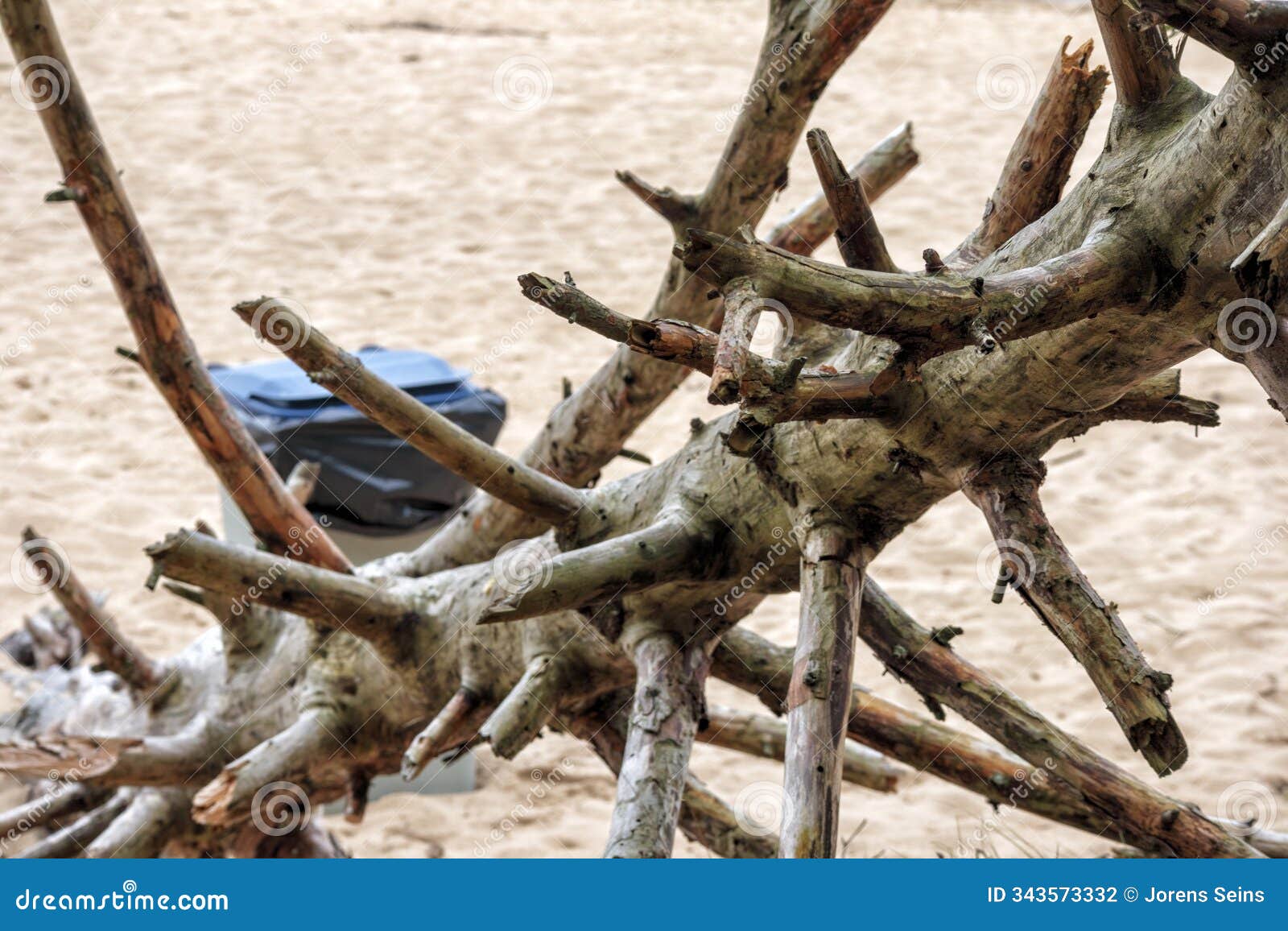 Washed Branches Texture Stock Image | CartoonDealer.com #30921577