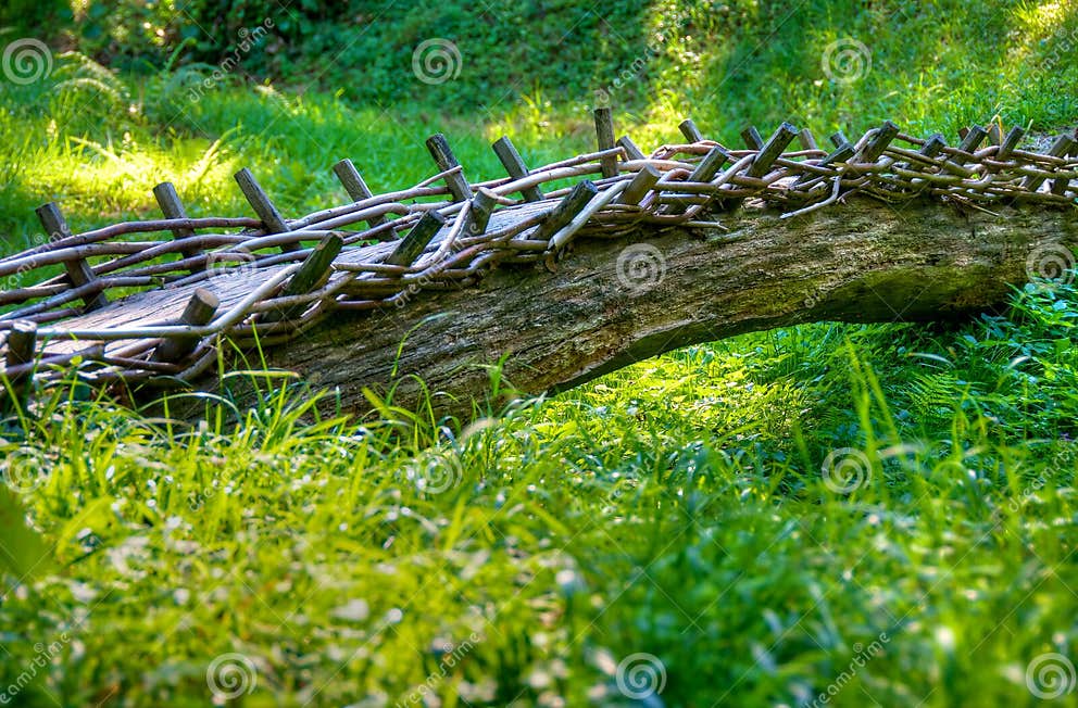 Tree trunk bridge stock photo. Image of craftsmanship - 15762744
