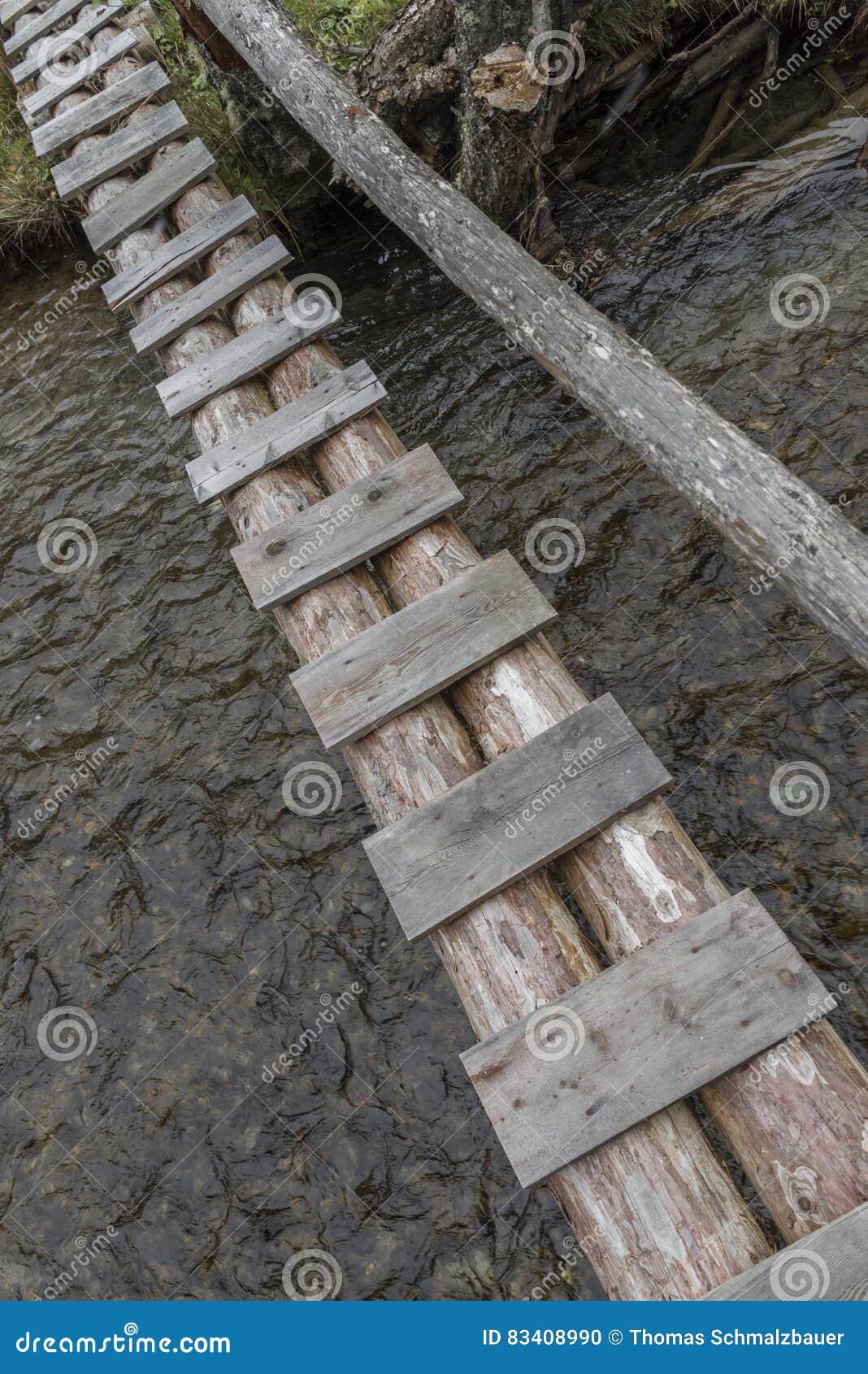 Tree Trunk Bridge Over a Creek Stock Photo - Image of adventure, land ...