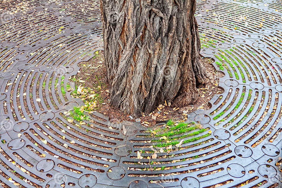 Trunk in the city stock image. Image of design, abstract - 163276865