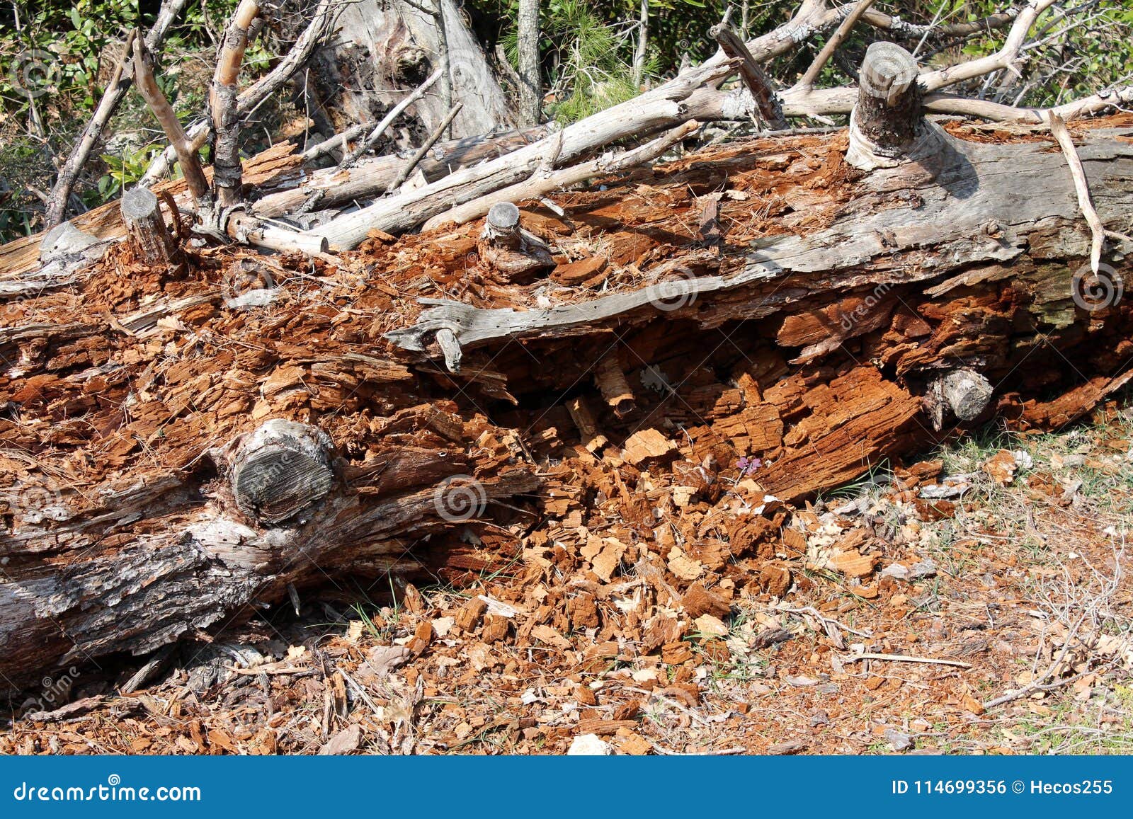 Completely Destroyed Big Concrete Building City Nearly Collapse Stock ...