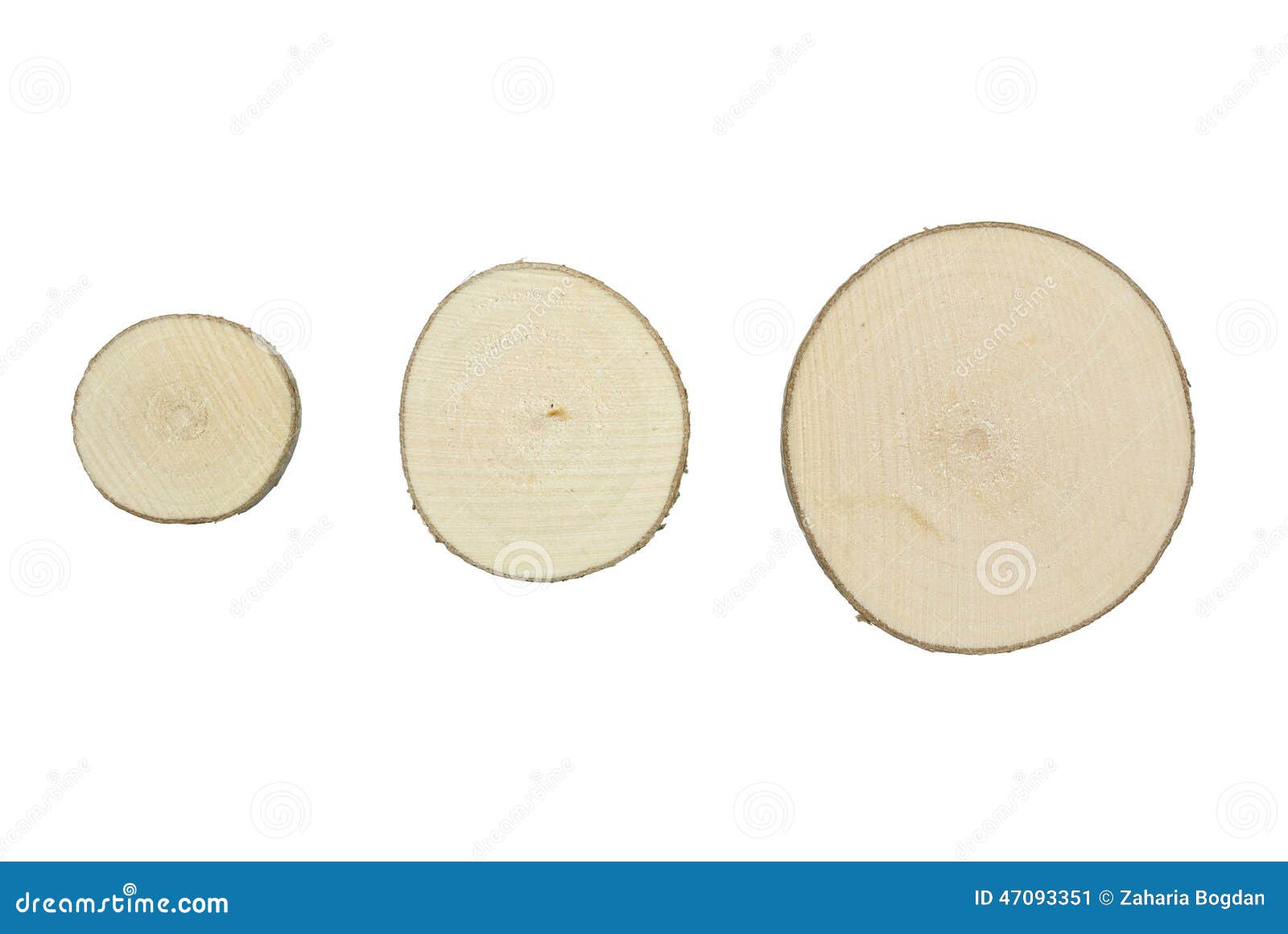 Tree Trunk Cross Section, Isolated On White Background. Three Different ...