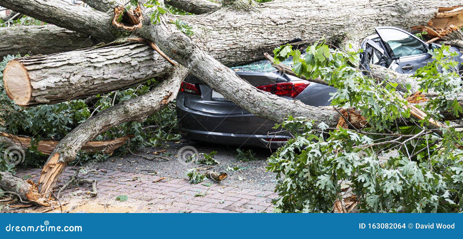 Tree Trunk Crushes Car in Driveway Stock Photo - Image of falling, home ...
