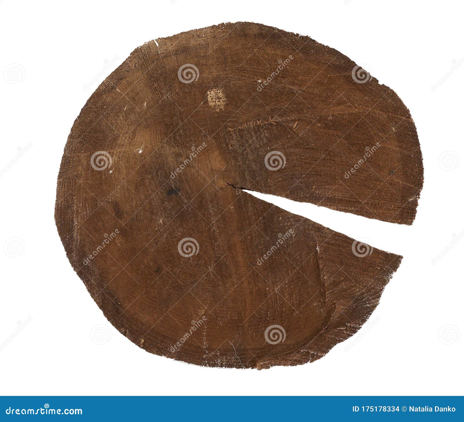 Tree Trunk Cut Isolated on a White Background Stock Photo - Image of ...