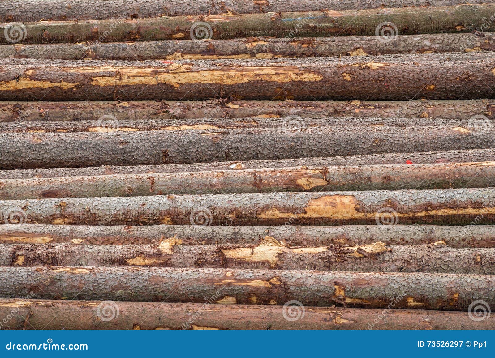 Tree Trunk Cut Lumber Log Bark Side Horizontal Stock Image - Image of ...