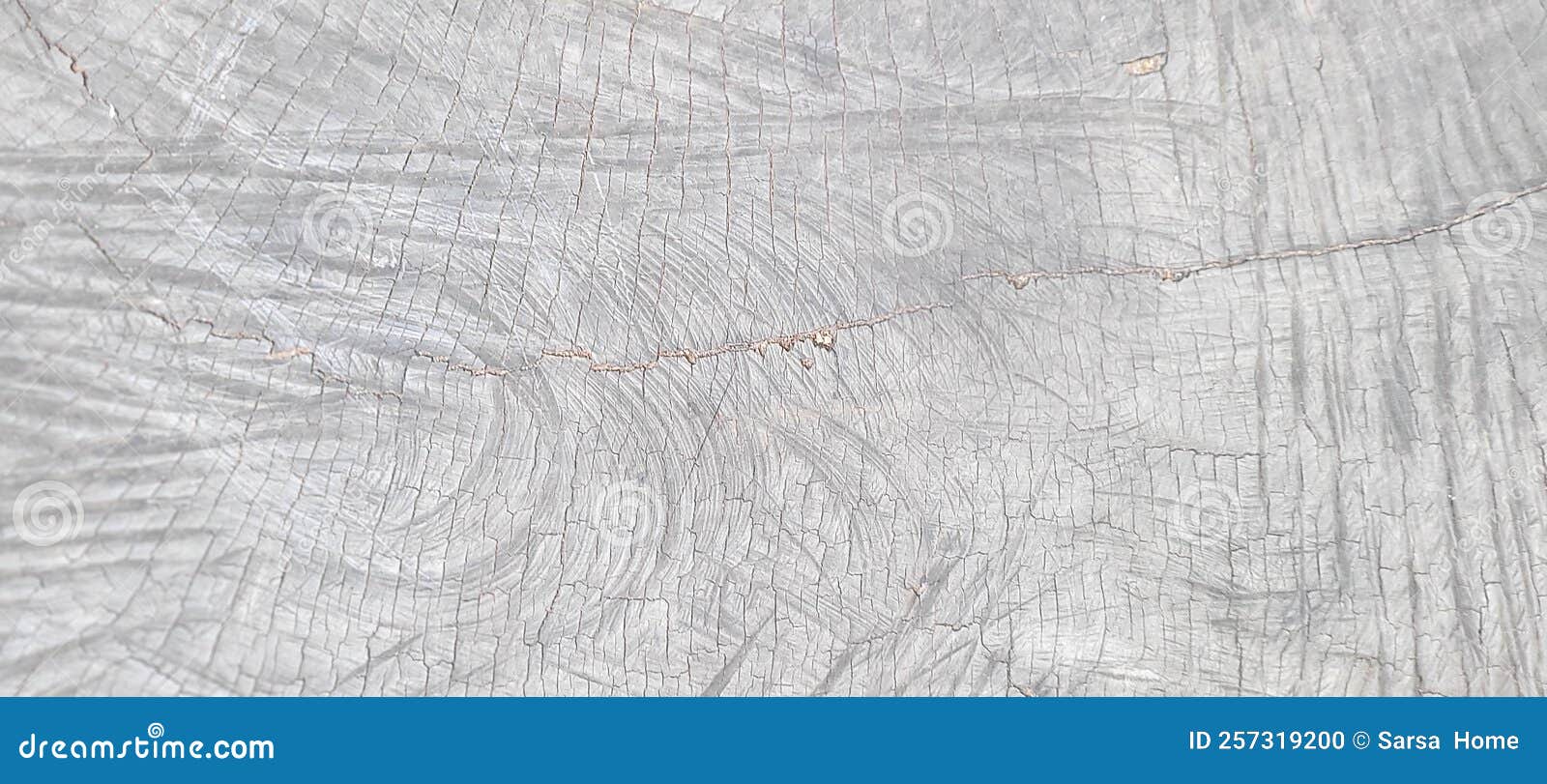 Tree Trunk with Dark Texture and Abstract Lines Stock Photo - Image of ...