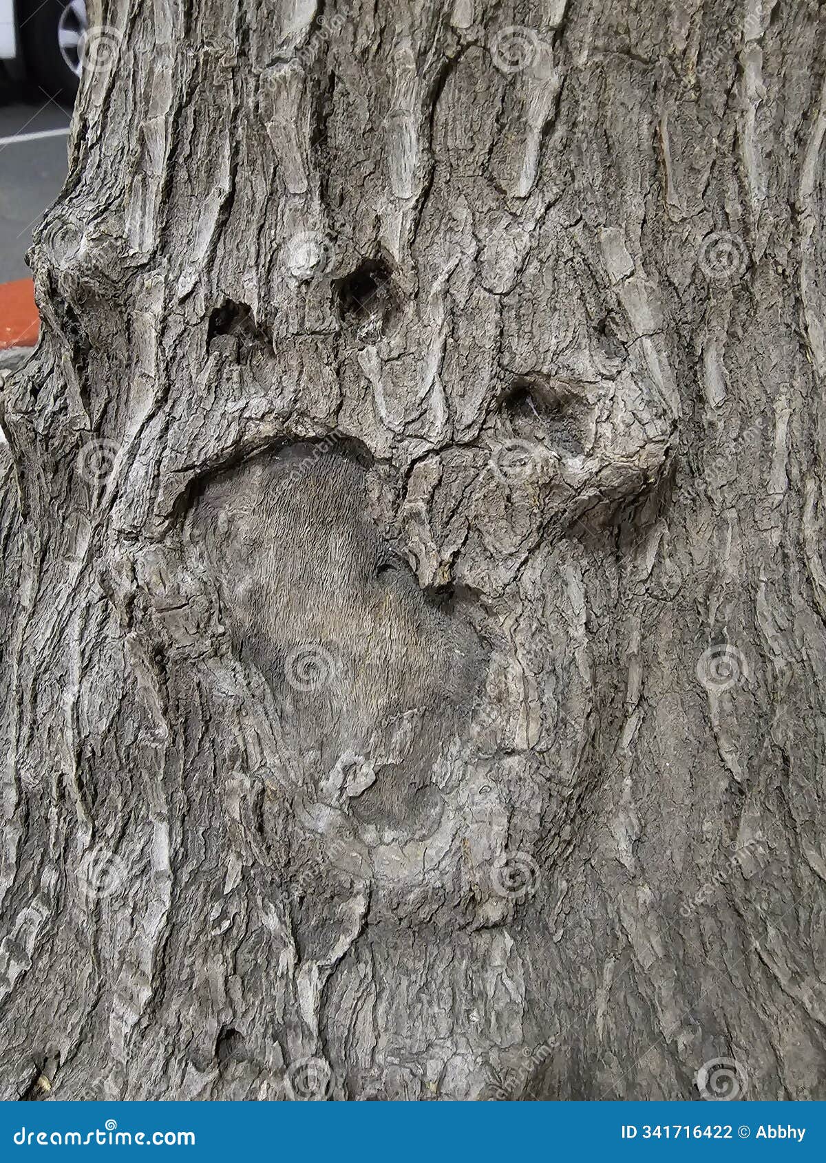 Tree Trunk with a Dog Footprint on it so Cute Stock Photo - Image of ...