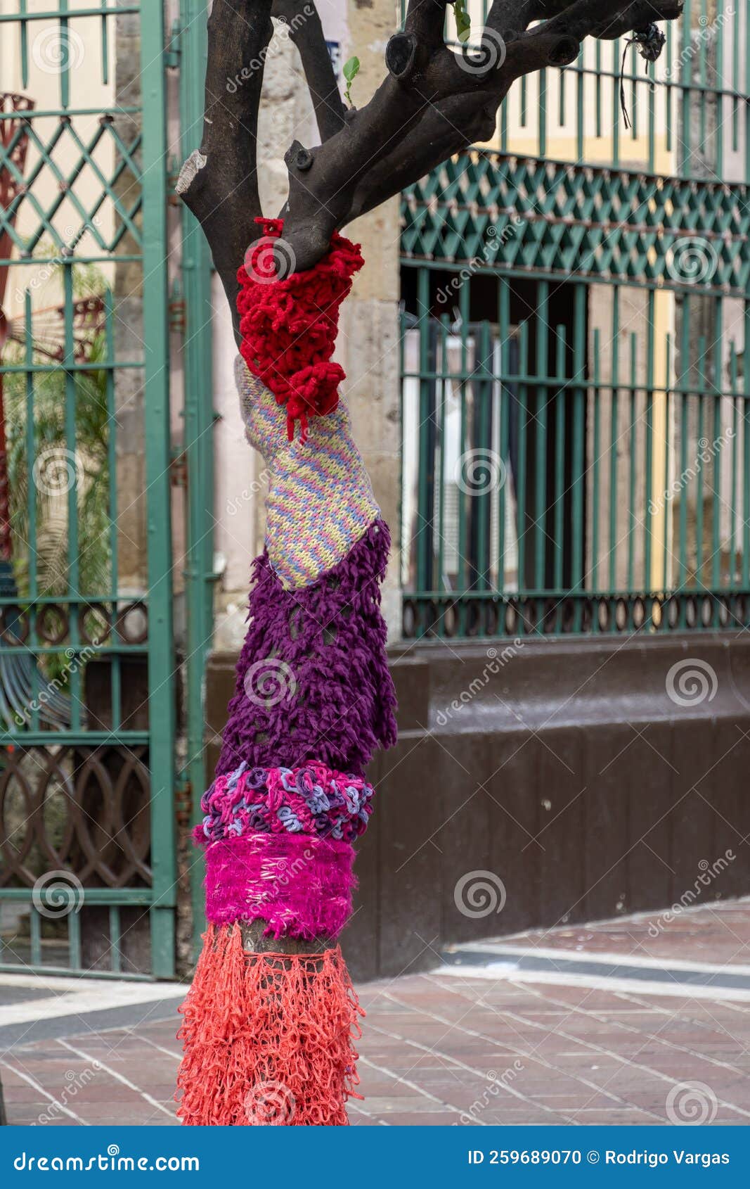 Tree Trunk Dressed with Woven Fabric of Different Colors As Decoration ...