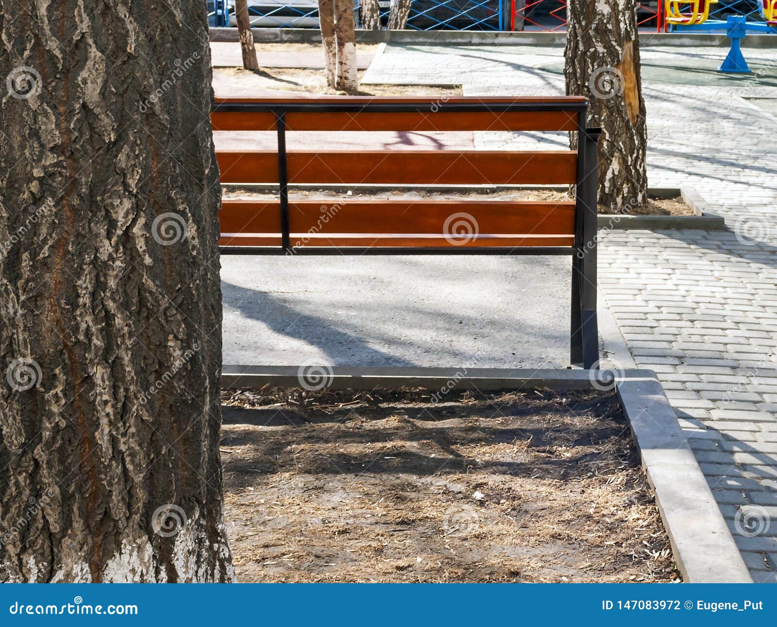 Tree Trunk, Empty Bench at the Paved Kids Playground Area in the Park ...