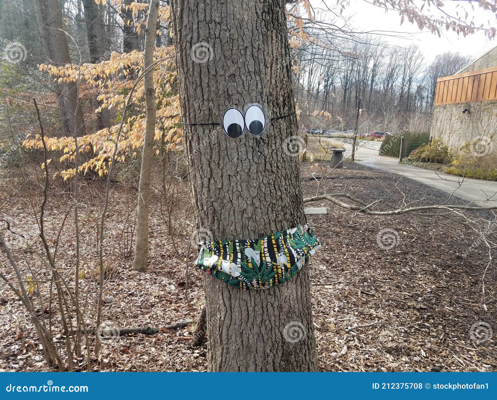 Tree Trunk with Eyes and Face Mask in Forest Stock Photo - Image of ...