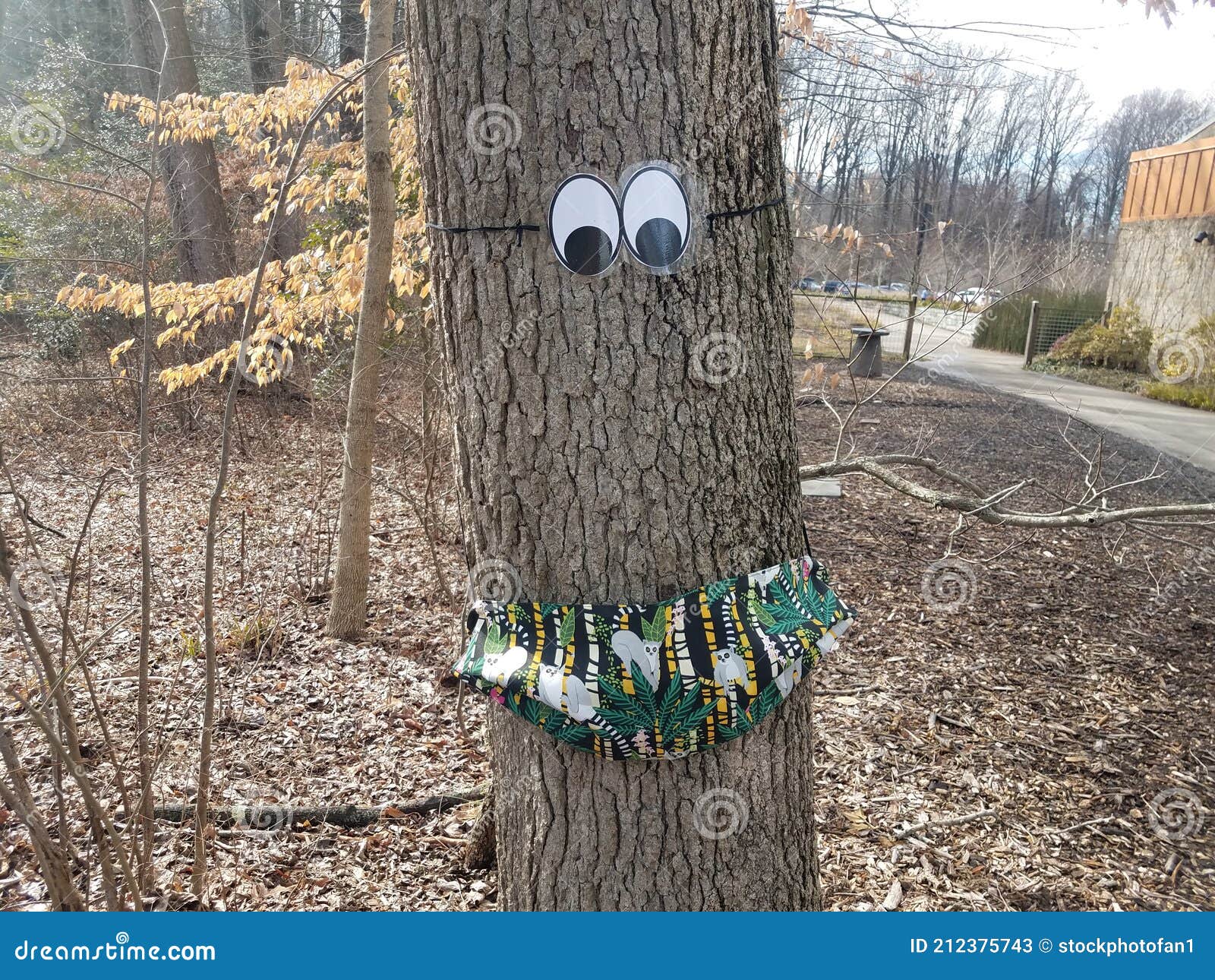 Tree Trunk with Eyes and Face Mask in Forest Stock Image - Image of ...