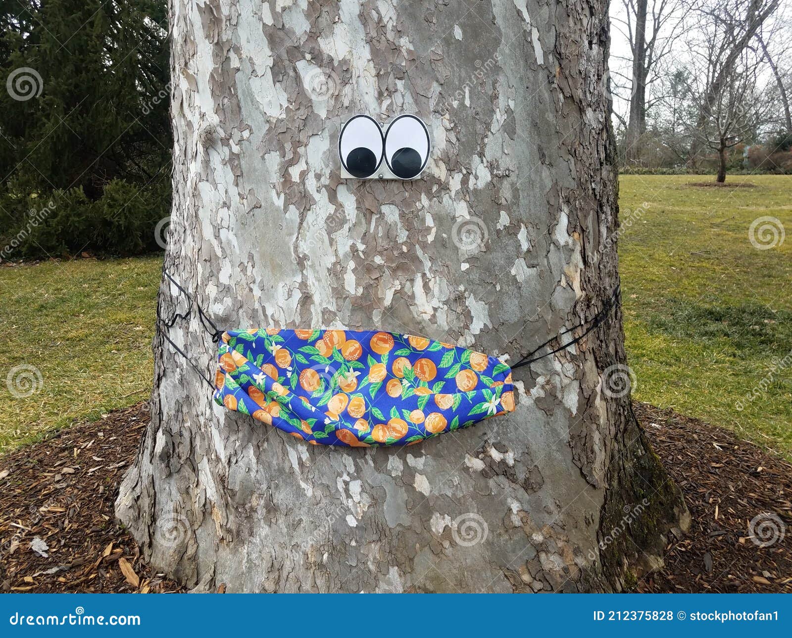 Tree Trunk with Eyes and Face Mask in Forest Stock Photo - Image of ...