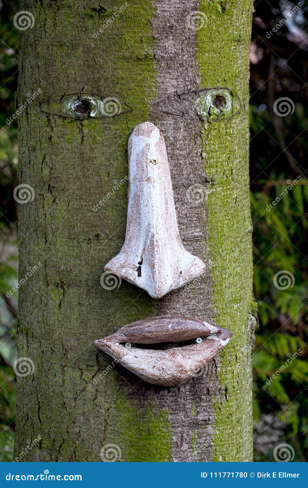 Tree Trunk with a Face on it Stock Photo - Image of beauty, nose: 111771780