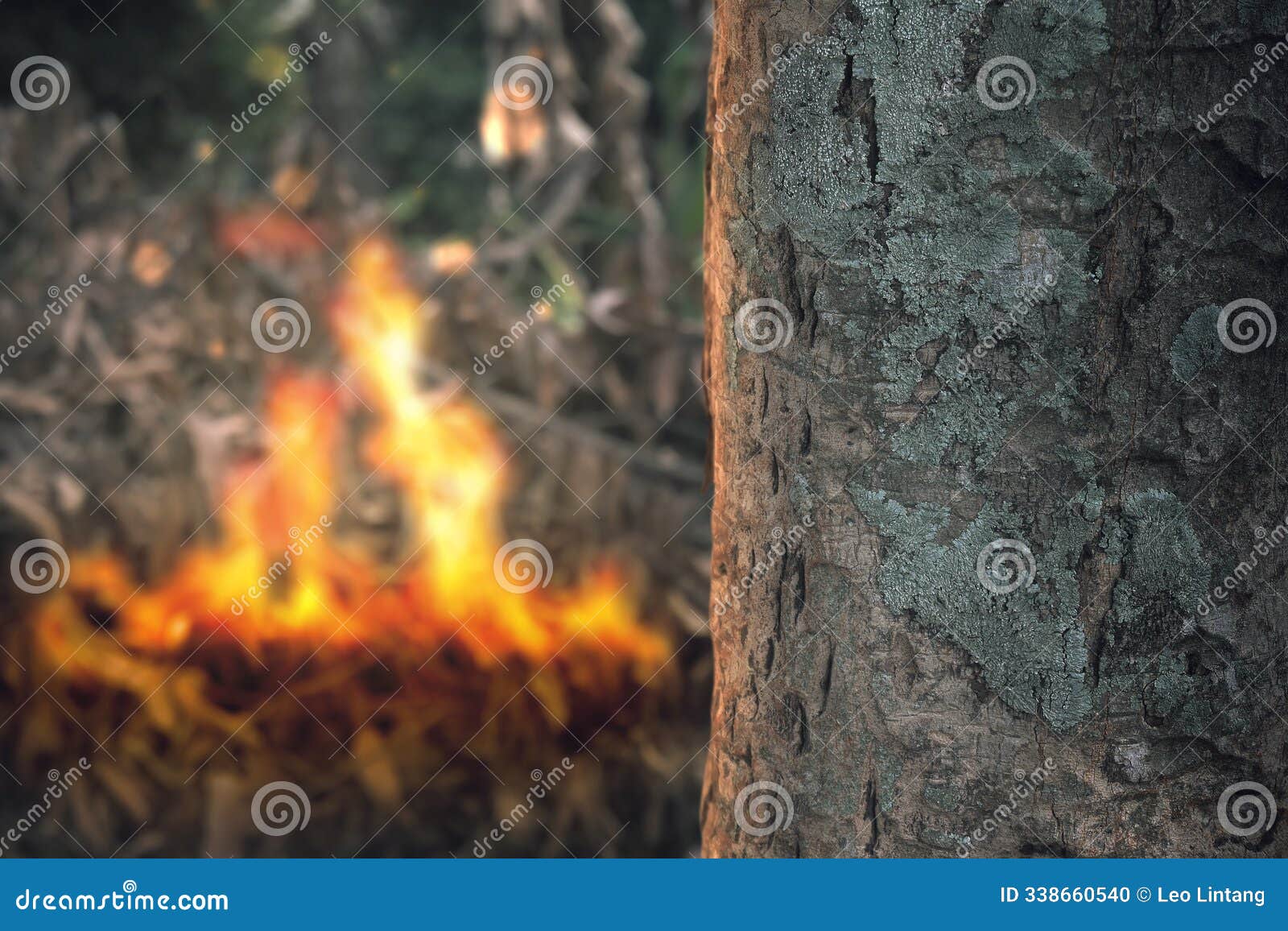 A Tree Trunk with a Fire in the Background. the Fire is Orange and ...