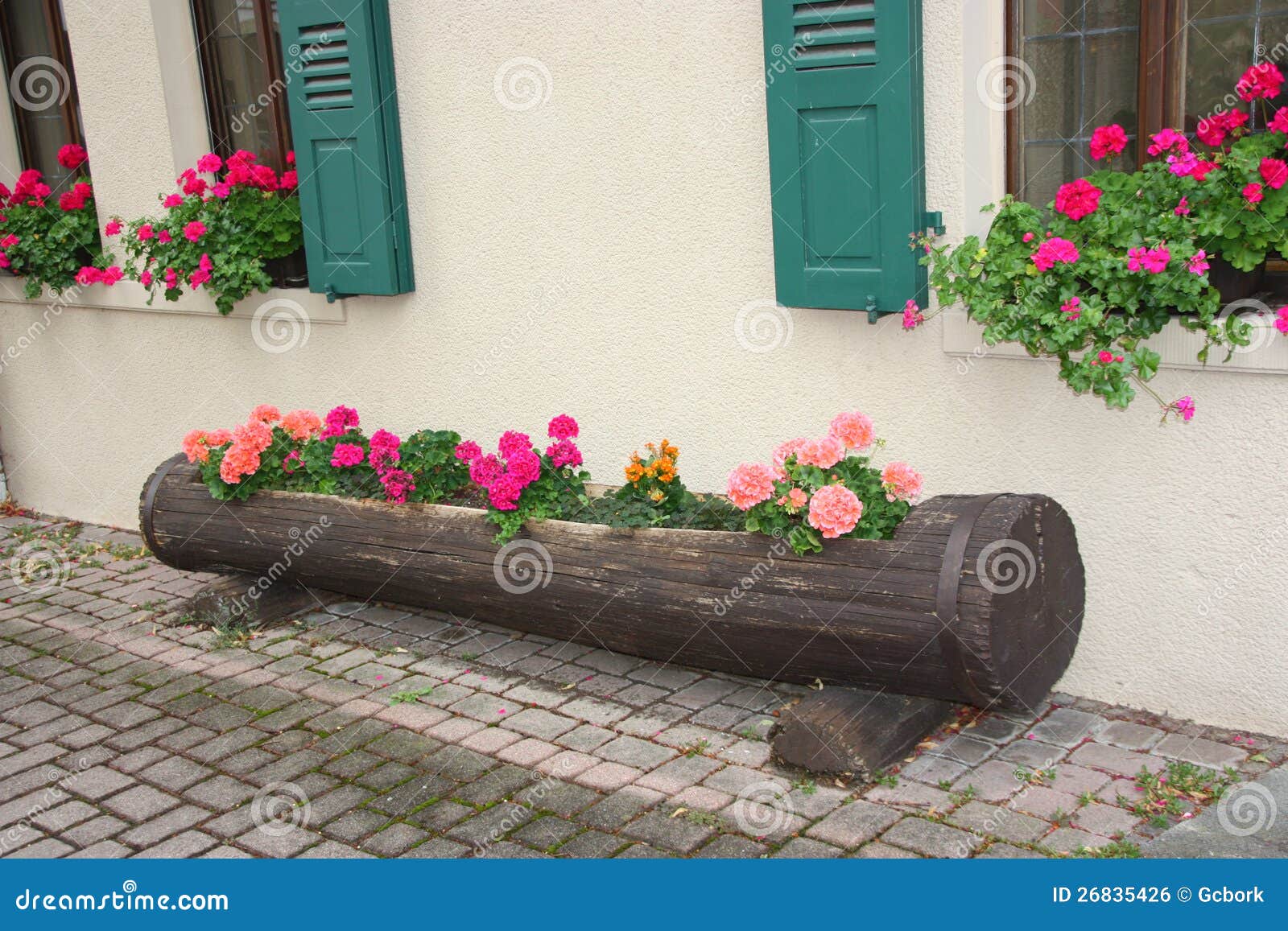 Tree Trunk Flower Box stock photo. Image of geranium - 26835426