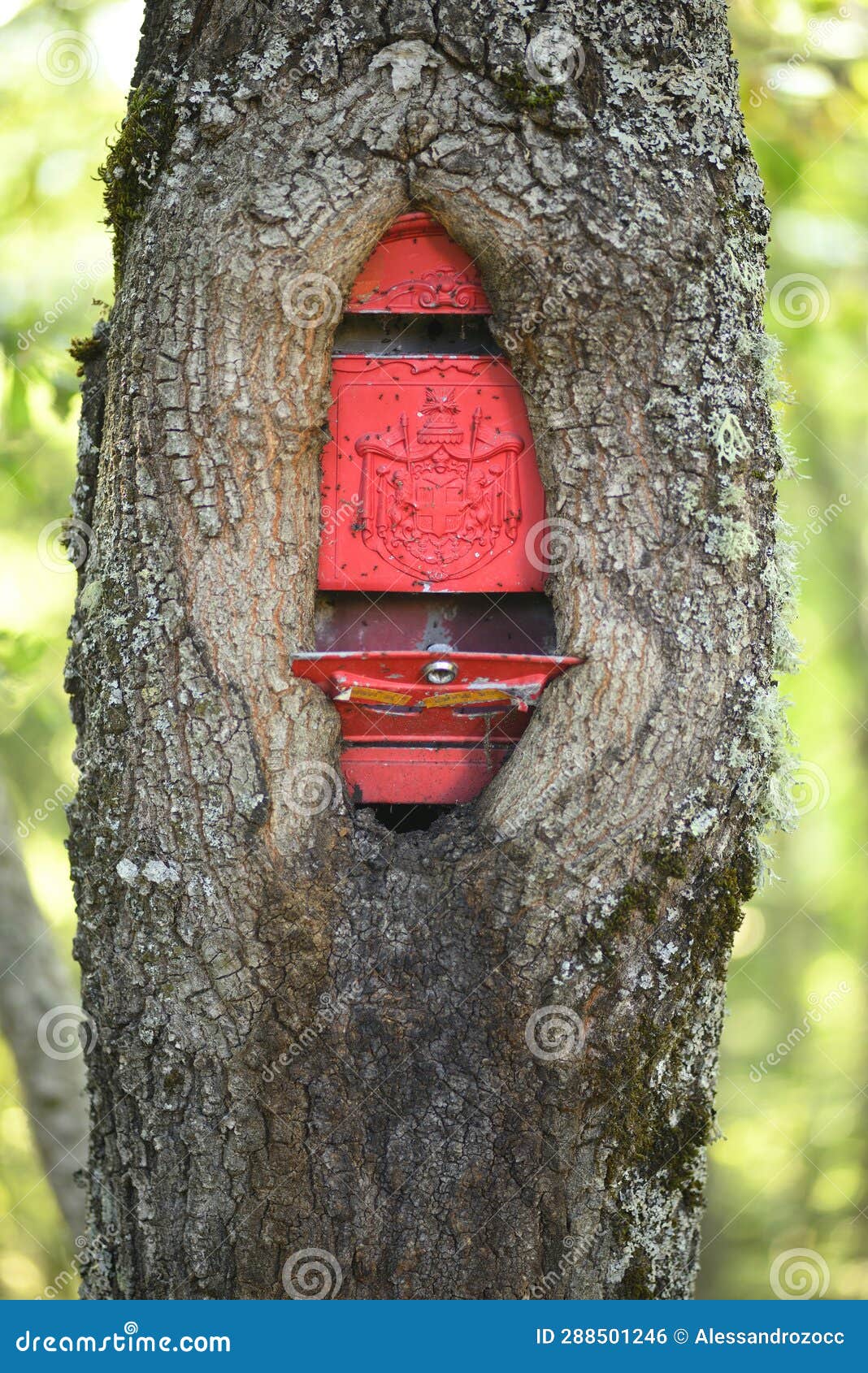 Tree Trunk Grown Around a Classic Old Style Red Mailbox Stock Photo ...