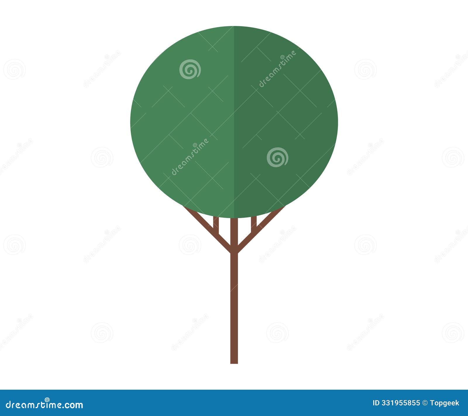 Tree. the Tree Trunk Provides Stability and Support for Entire Tree ...