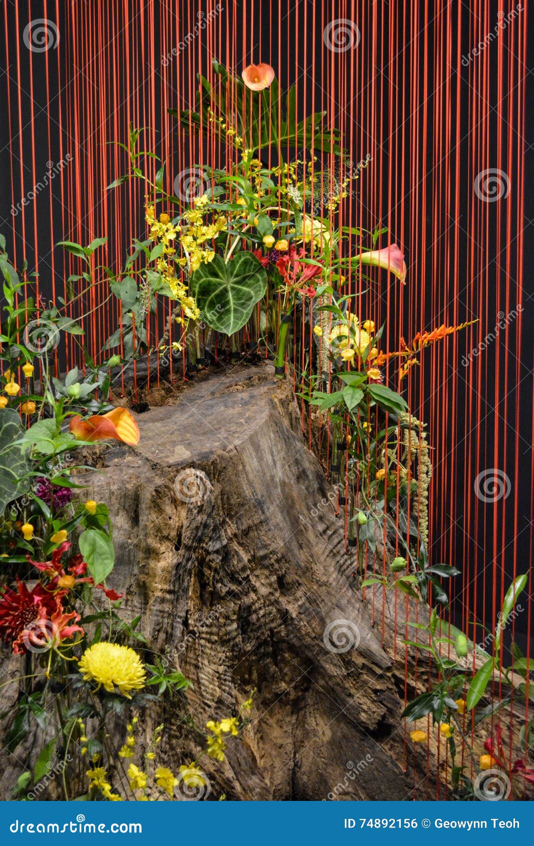 Tree Trunk with Red Strings Stock Photo - Image of intricate, inspired ...
