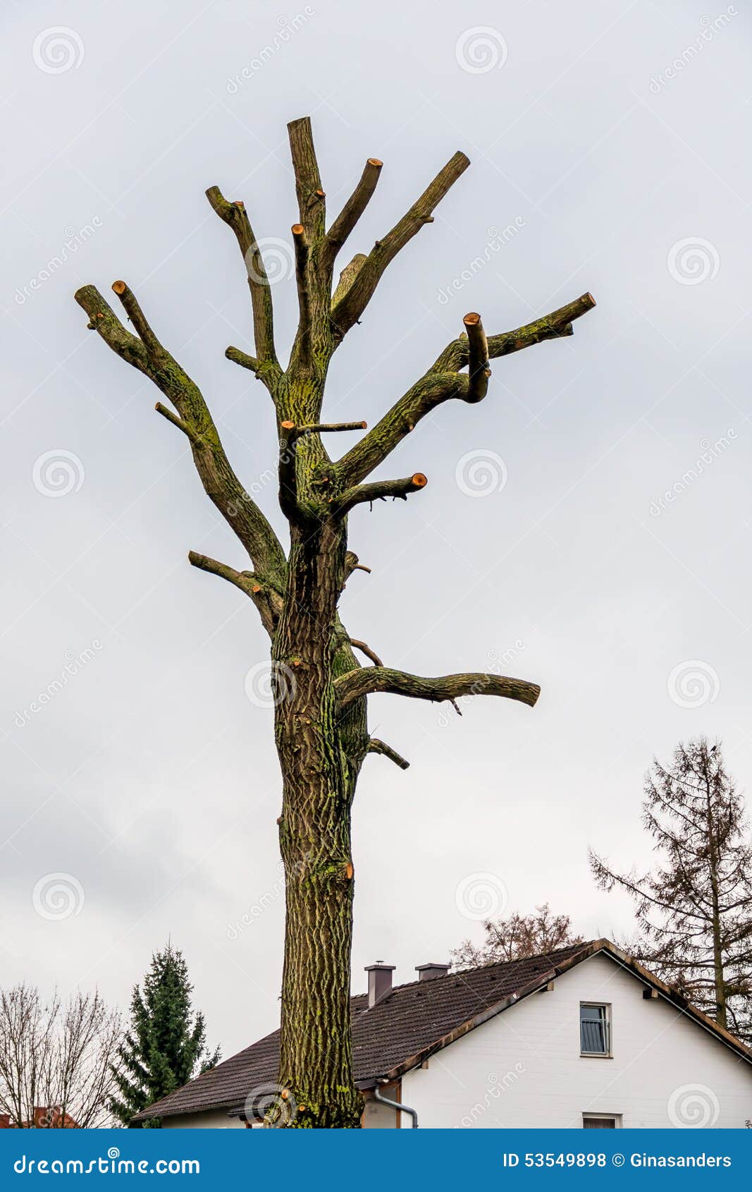 137 Shrink Symbol Stock Photos - Free & Royalty-Free Stock Photos from ...