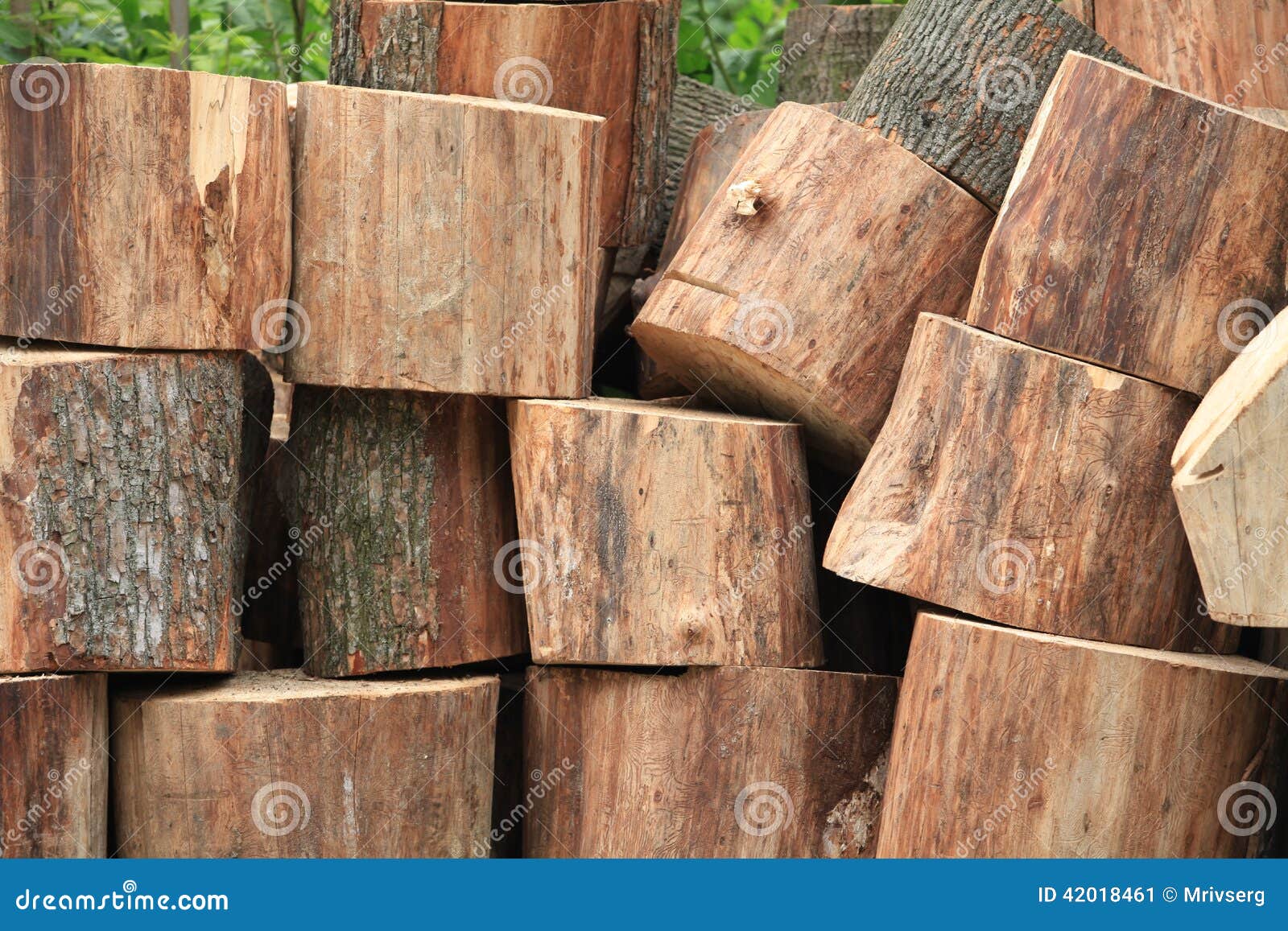 Tree Trunk Sawn into Pieces Firewood Stock Image - Image of heat, large ...