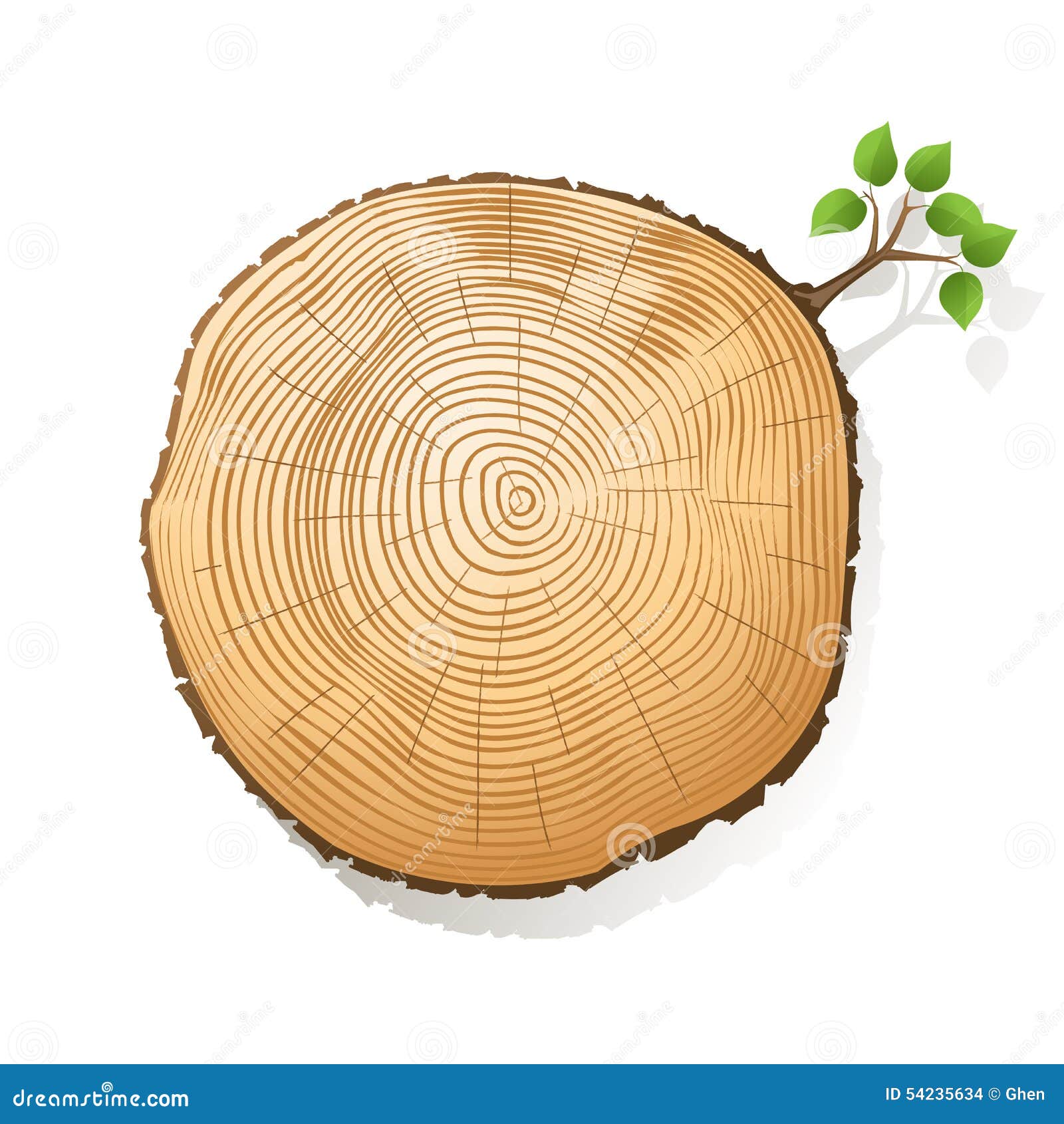Tree trunk section stock vector. Illustration of rough - 54235634 Tree trunk section stock vector. Illustration of rough - 54235634