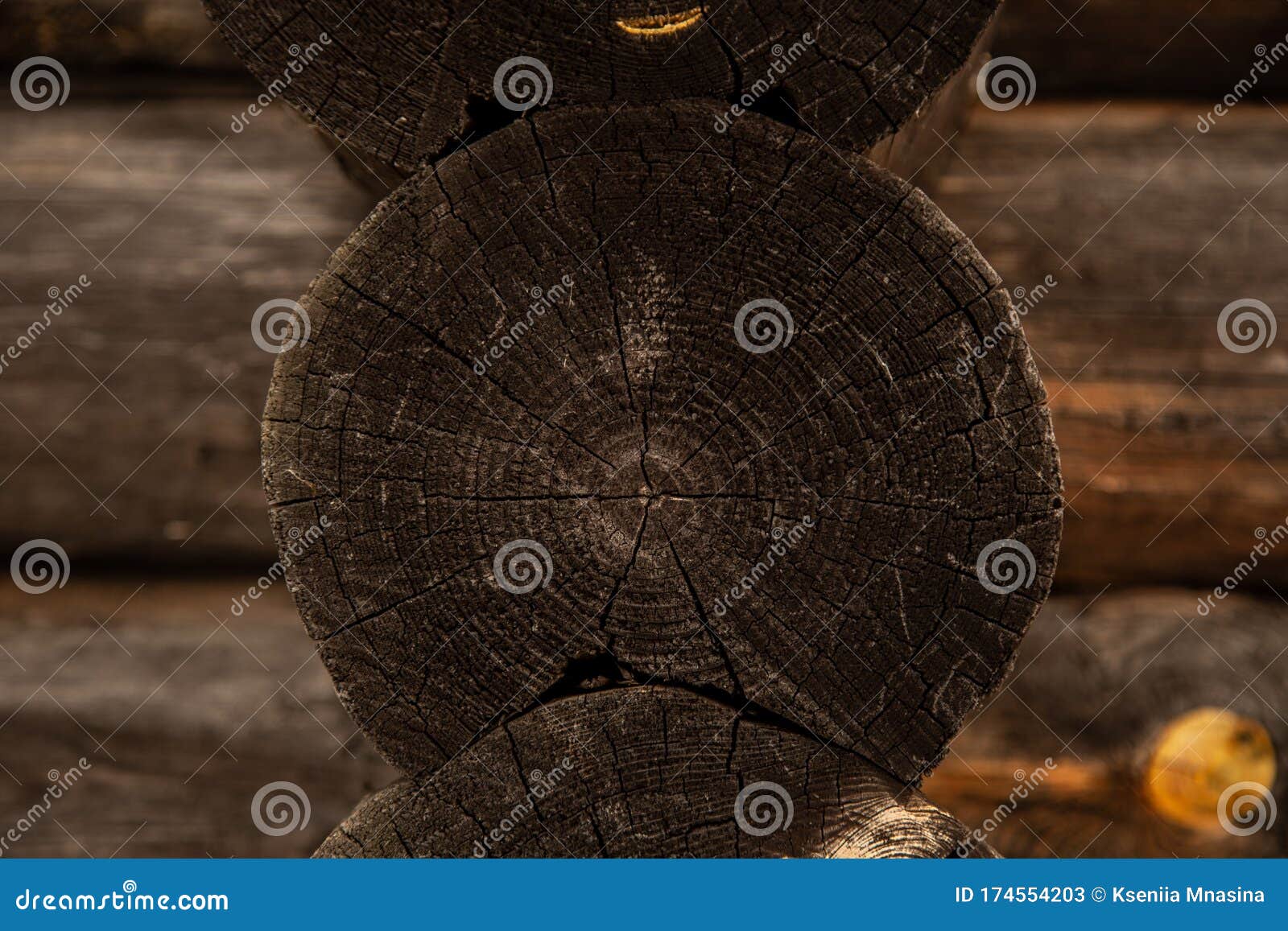 Tree Trunk in a Section Surrounded by Wooden Bars Stock Image - Image ...