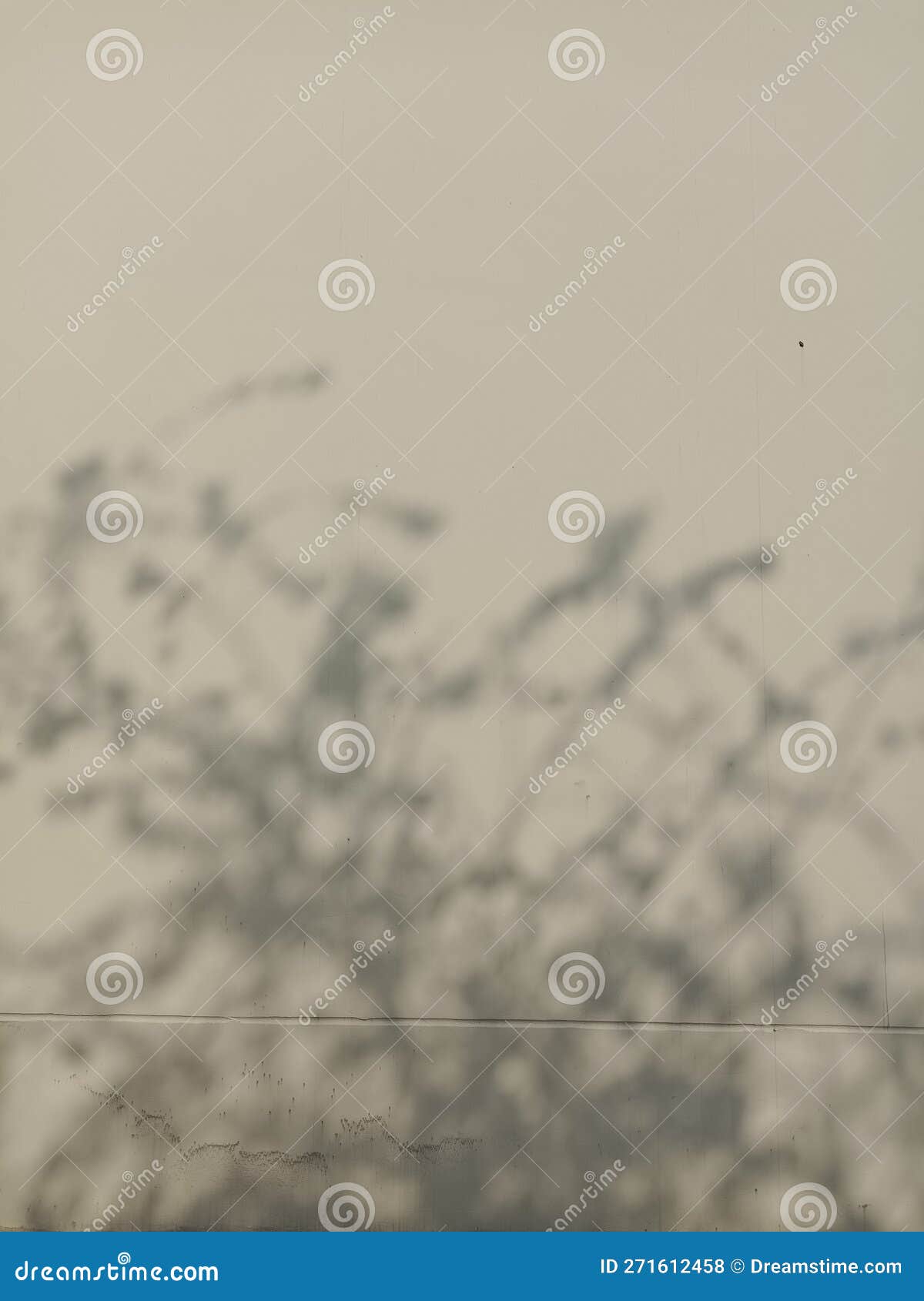 A Tree Trunk Shadow on the White Wall Stock Photo - Image of trunk ...
