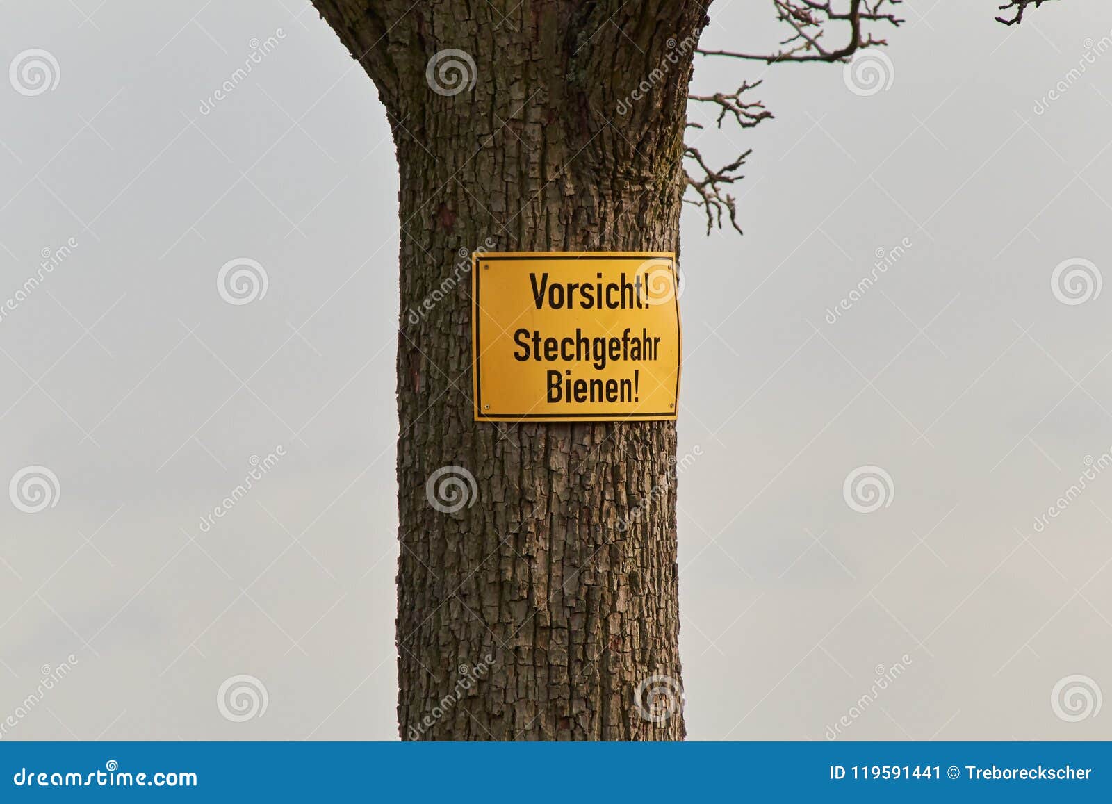 Tree Trunk with Sign Bees Warning Stock Image - Image of notice, color ...